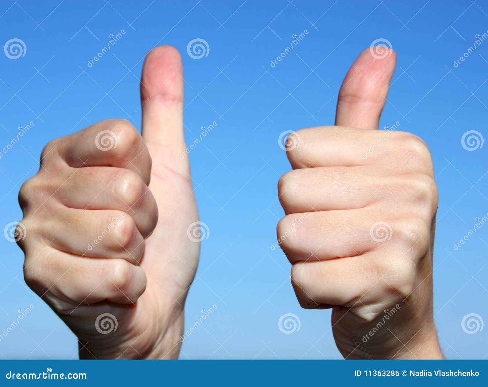Hands showing success stock photo. Image of mood, victor - 11363286