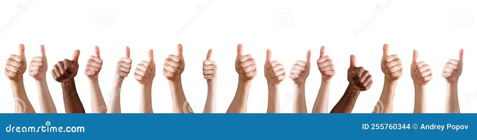 Hands Showing Thumb Up Sign Stock Photo - Image of people, community ...