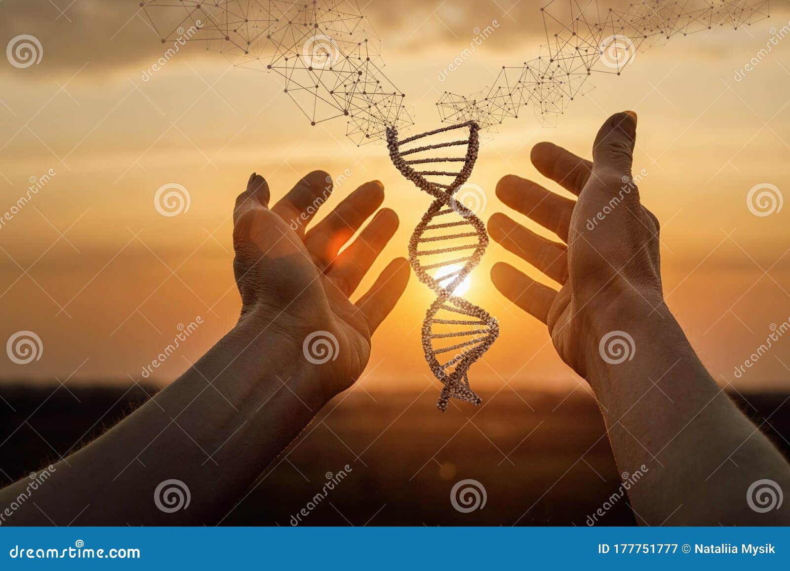 Hands shows DNA molecules stock image. Image of medicine - 177751777