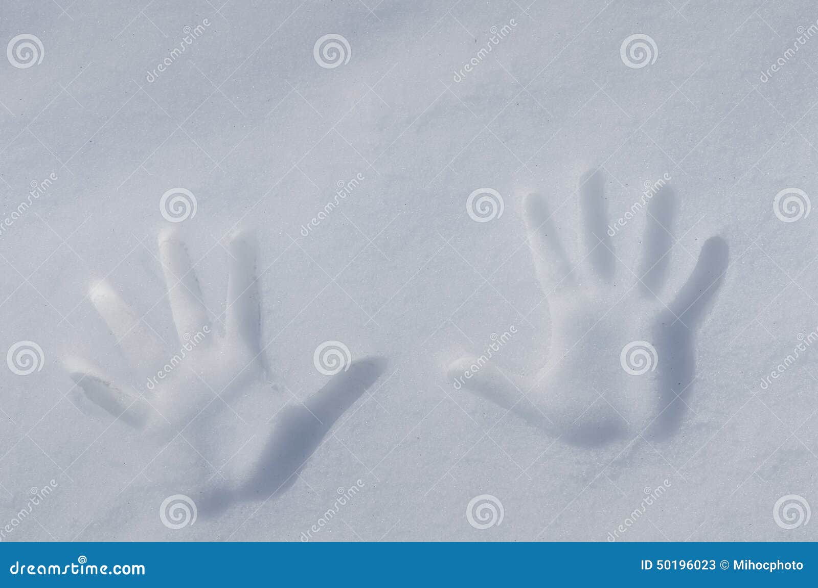Hands in snow stock image. Image of human, anatomy, environment - 50196023