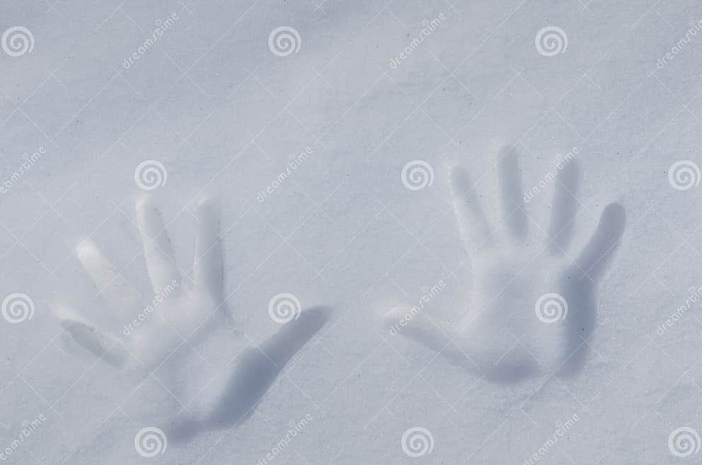 Hands in snow stock image. Image of human, anatomy, environment - 50196023