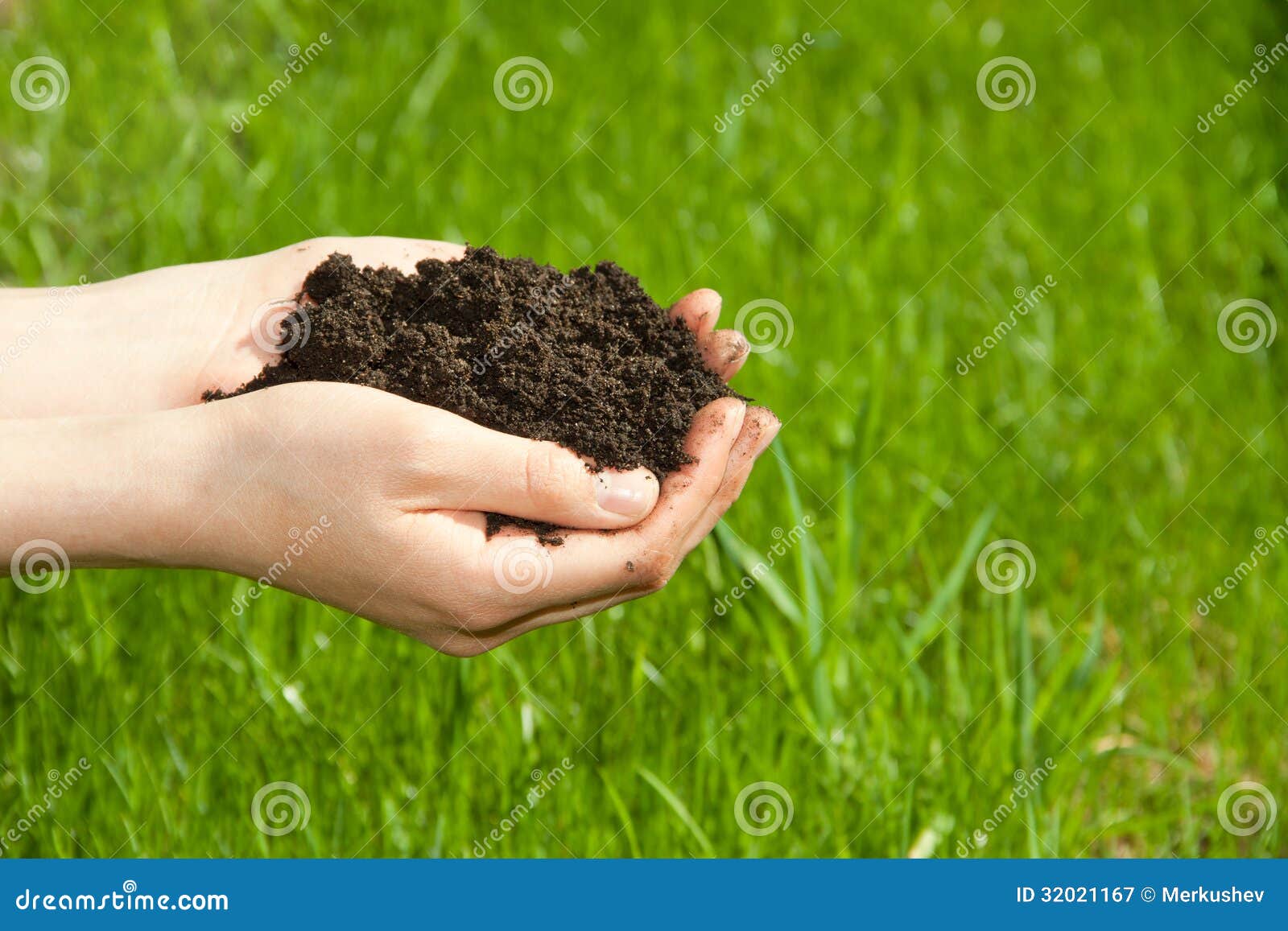 Hands with soil stock image. Image of closeup, environmental - 32021167
