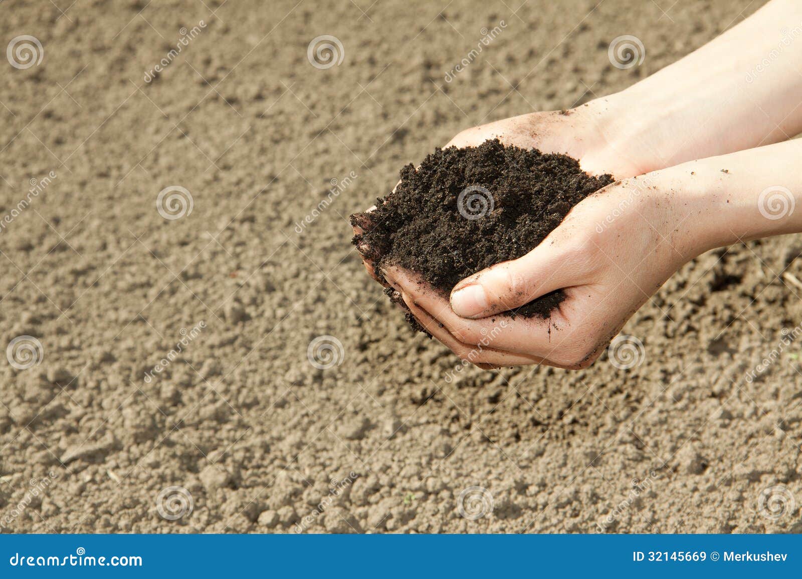 Hands with soil stock image. Image of humus, dirty, hand - 32145669