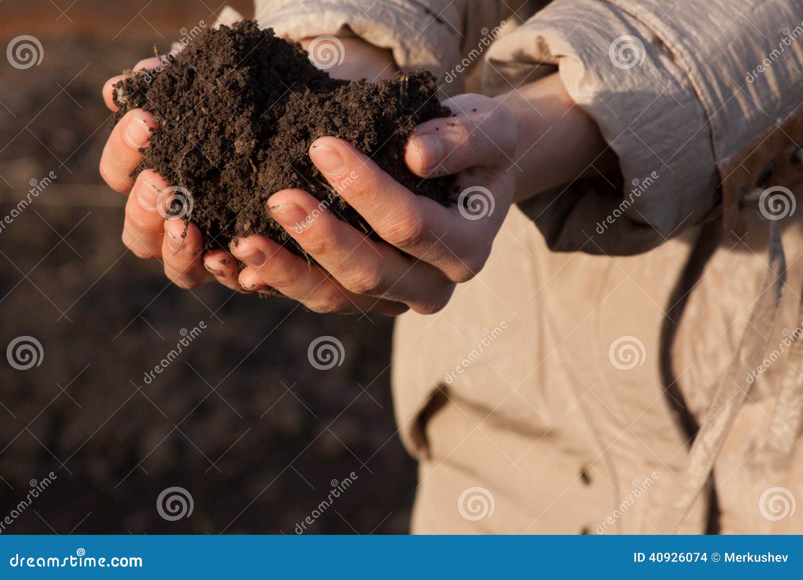 Hands with soil stock photo. Image of field, hand, black - 40926074