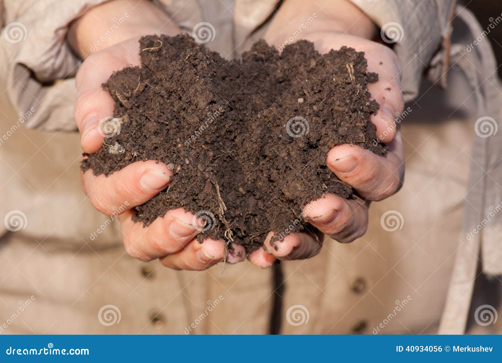 Hands with soil stock photo. Image of handful, ground - 40934056