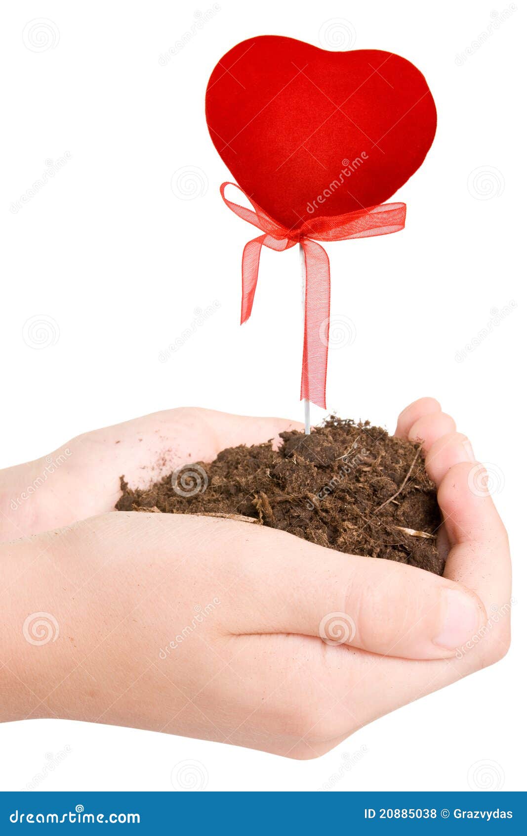 Hands with Soil and Growing Heart. Stock Photo - Image of help, hands ...