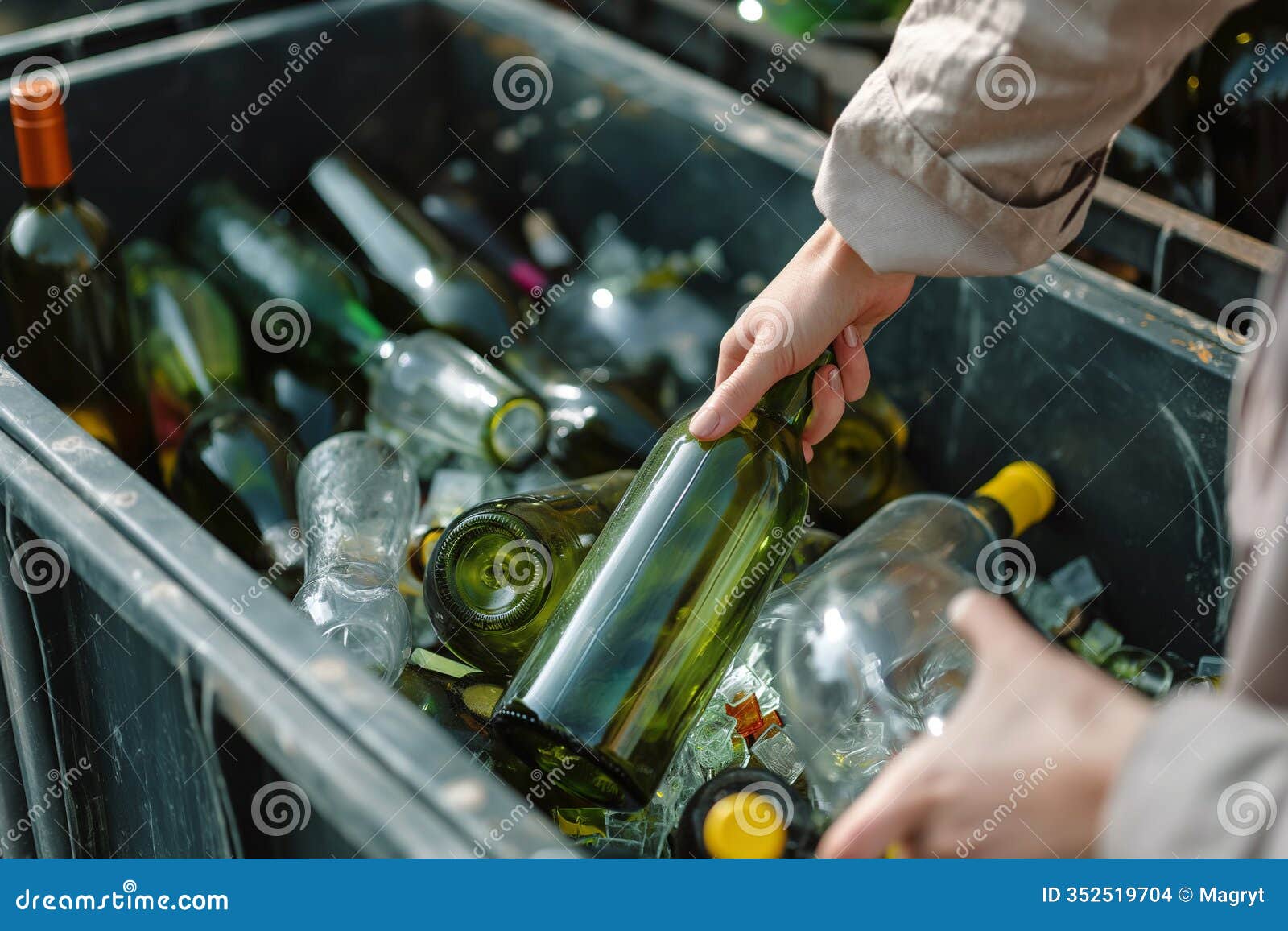 Hands Sorting Glass Bottles into a Recycling Bin. Environmental ...