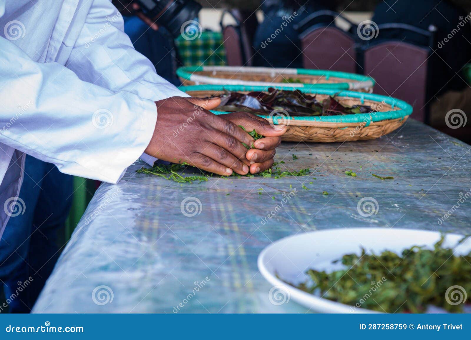 Hands Sorting Out Tea Leaves on the Table Stock Image - Image of spring ...