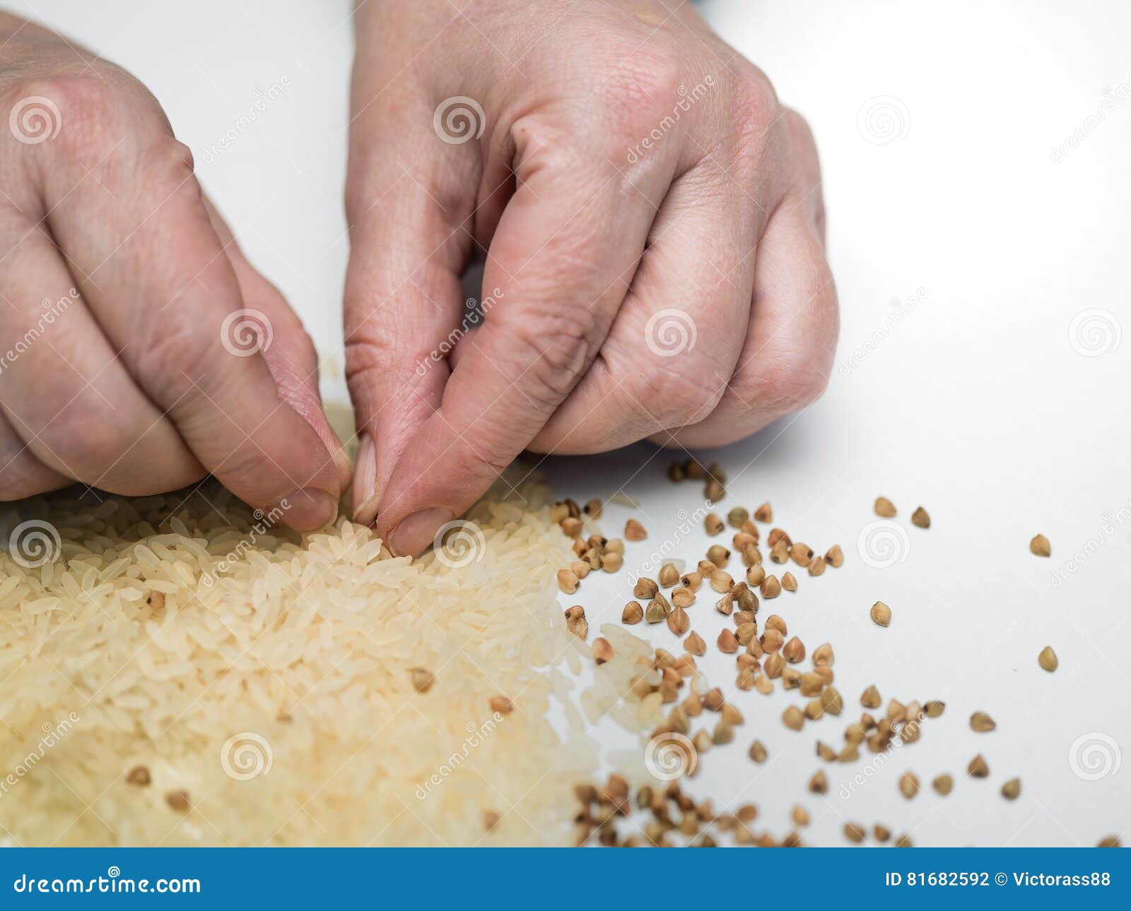 Hands Sorting Rice stock photo. Image of table, ingredient - 81682592