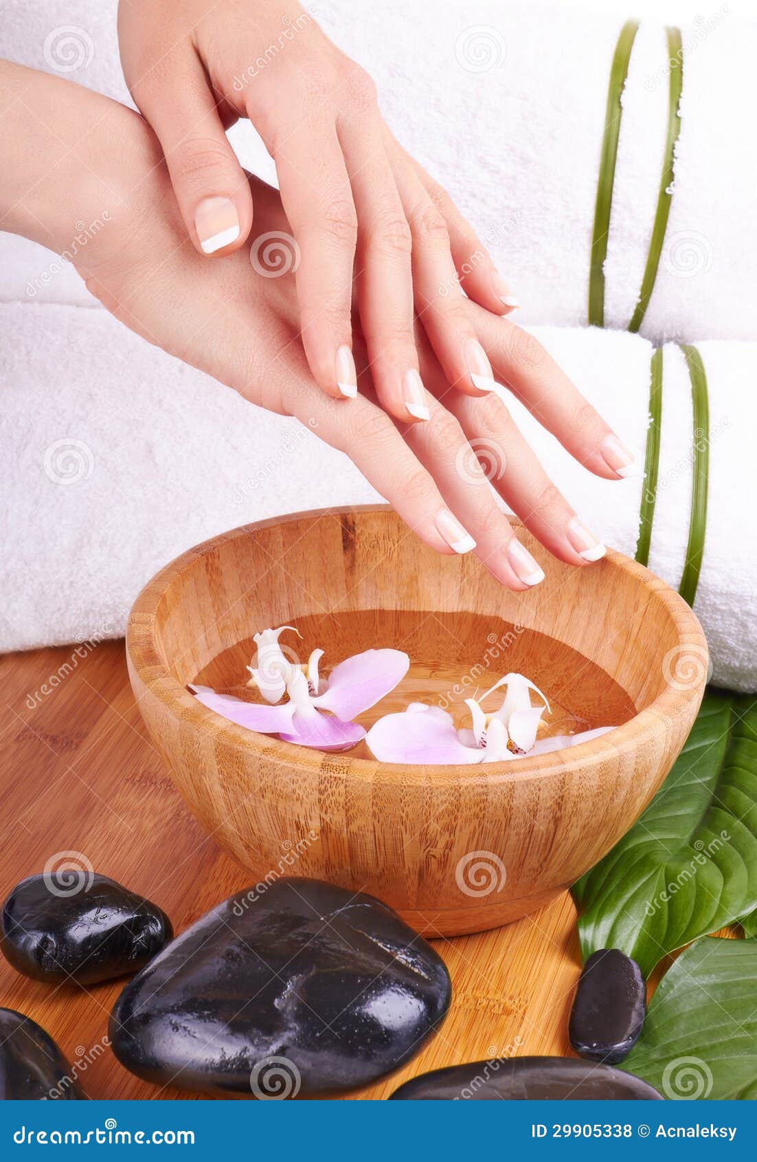 Hands Spa and Manicure stock photo. Image of femininity - 29905338