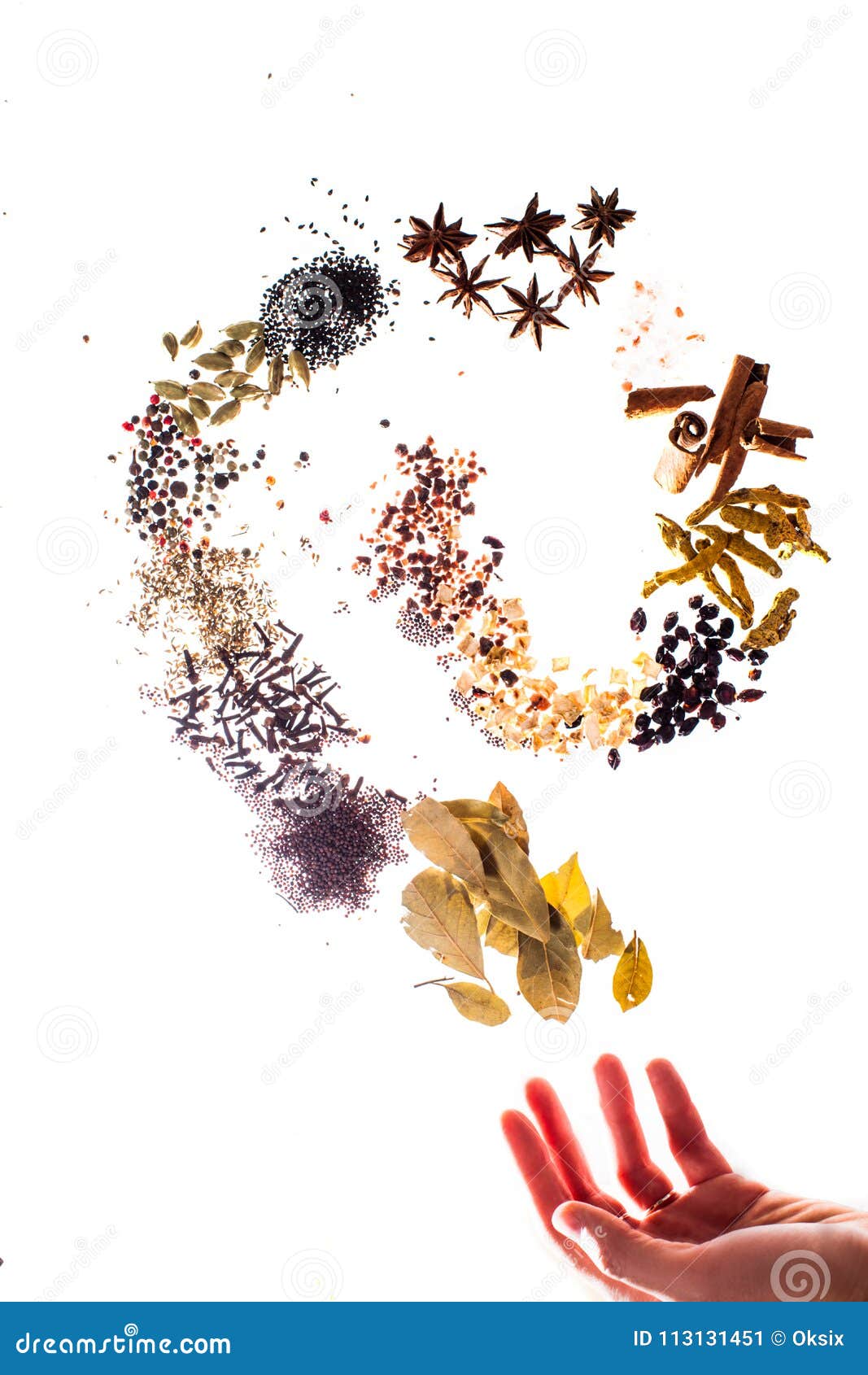 Hands with Spices stock image. Image of coriander, leaf - 113131451