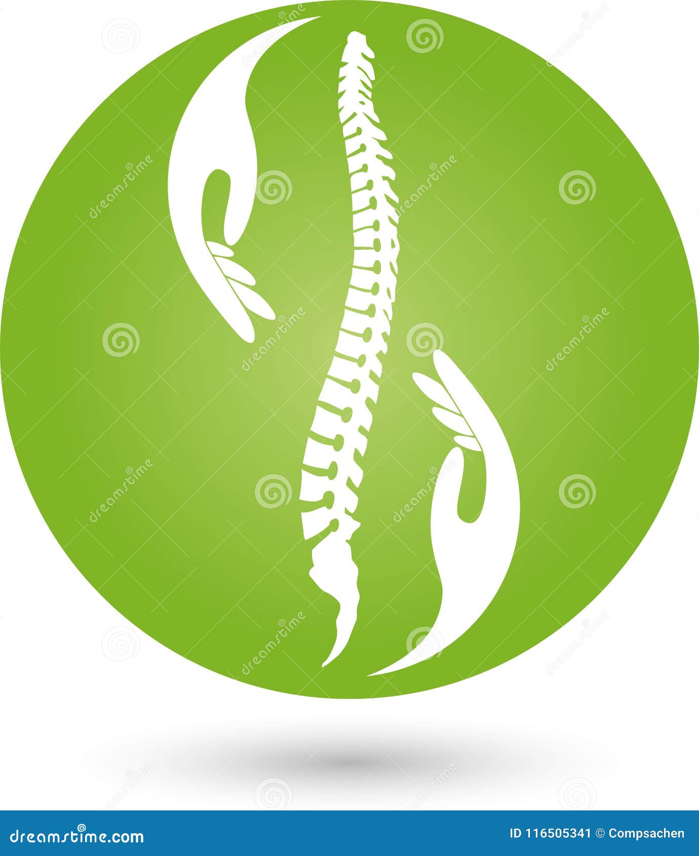 Hands And Spine Orthopedics And Physiotherapy Logo Medicine Logo