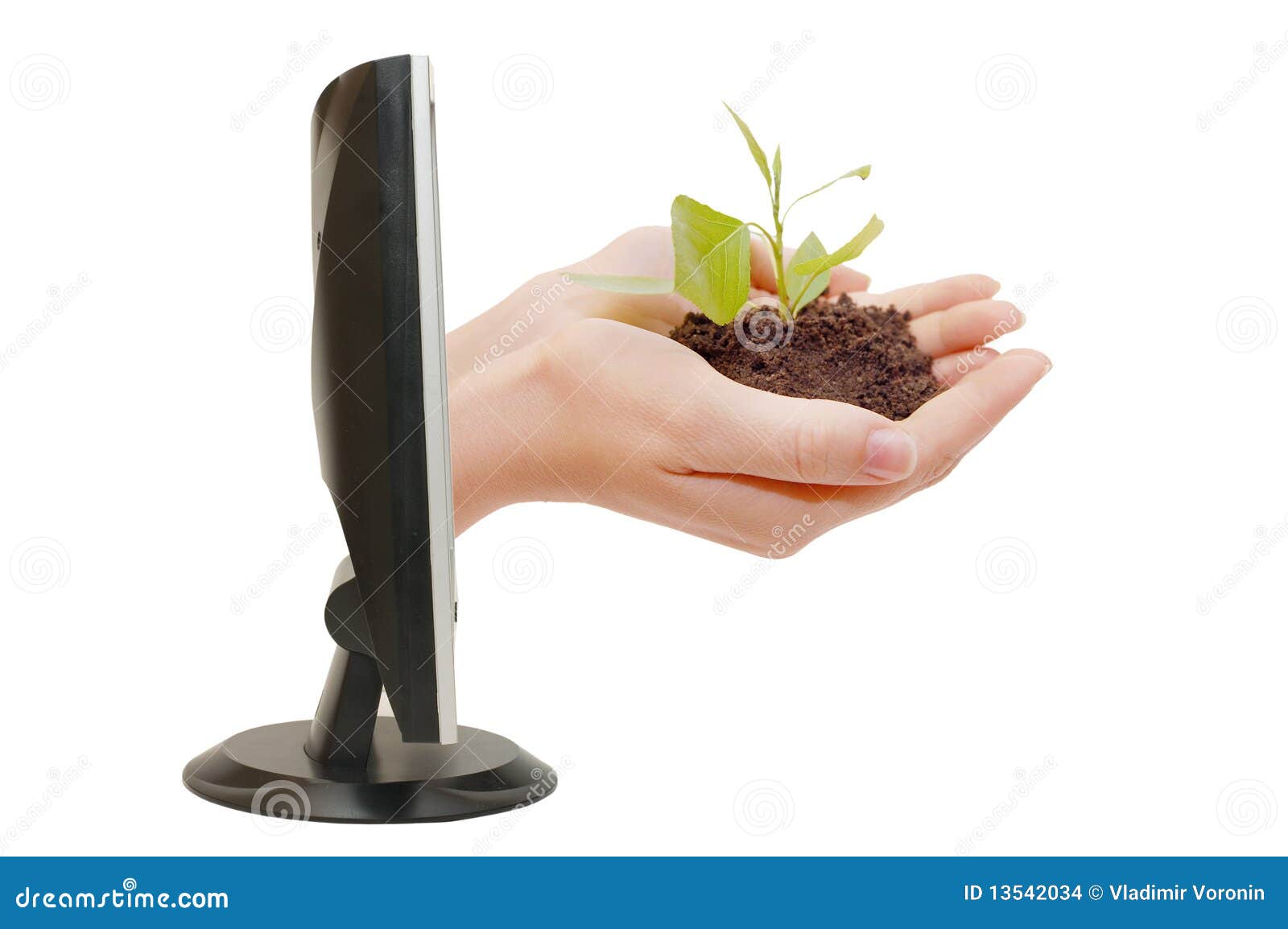 Hands with a Sprout from the Monitor Stock Photo - Image of idea, leaf ...