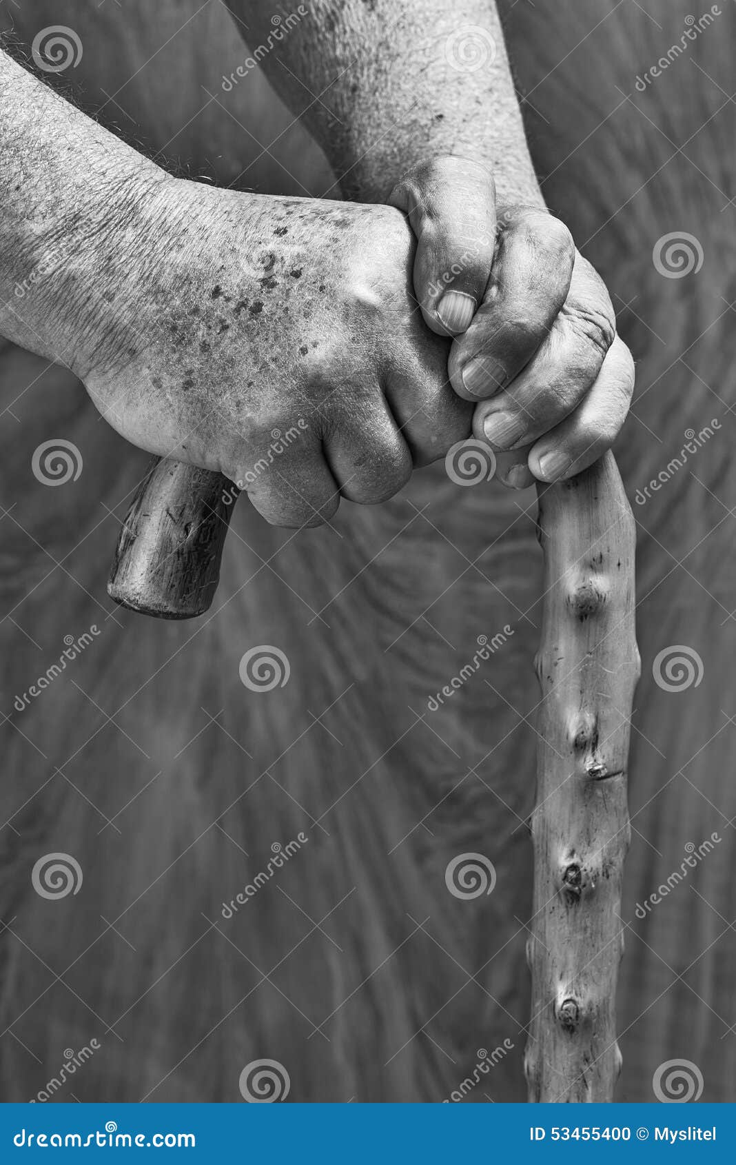 Hands and stick stock photo. Image of retirement, senior - 53455400