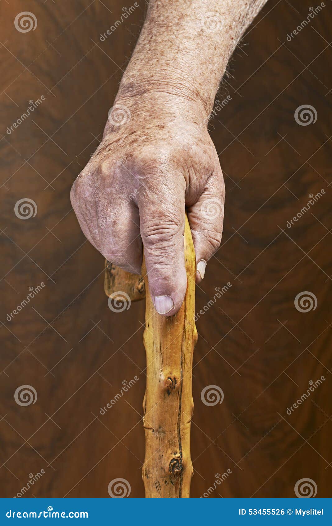 Hands and stick stock photo. Image of hold, handicap - 53455526