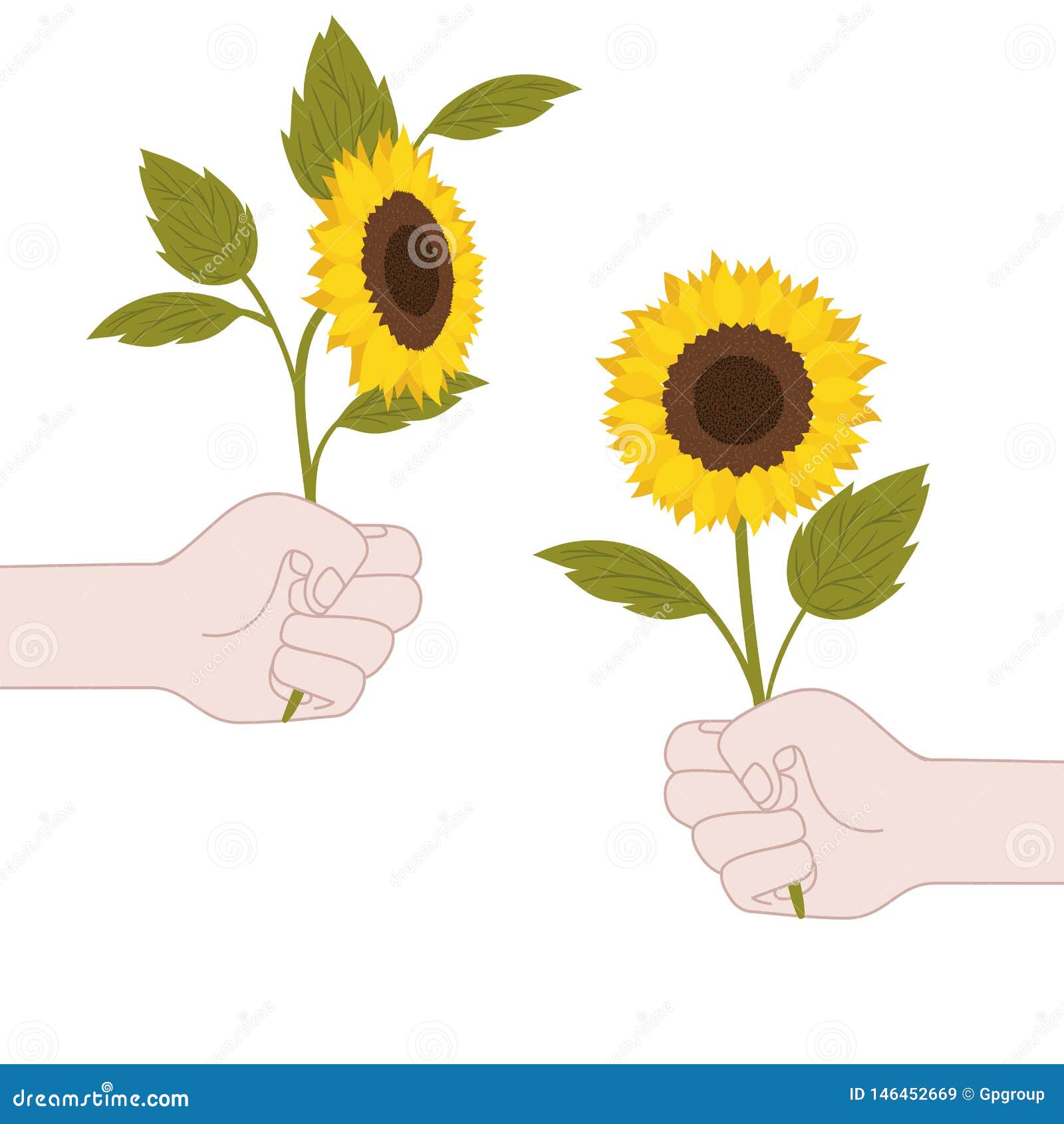 Hands with Sunflowers Isolated Icon Stock Vector - Illustration of ...