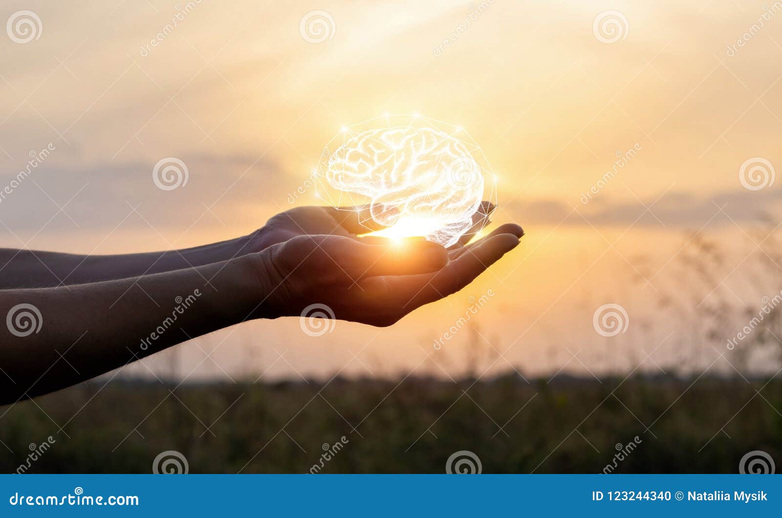Hands Support the Brain in the Sun . Stock Photo - Image of ...