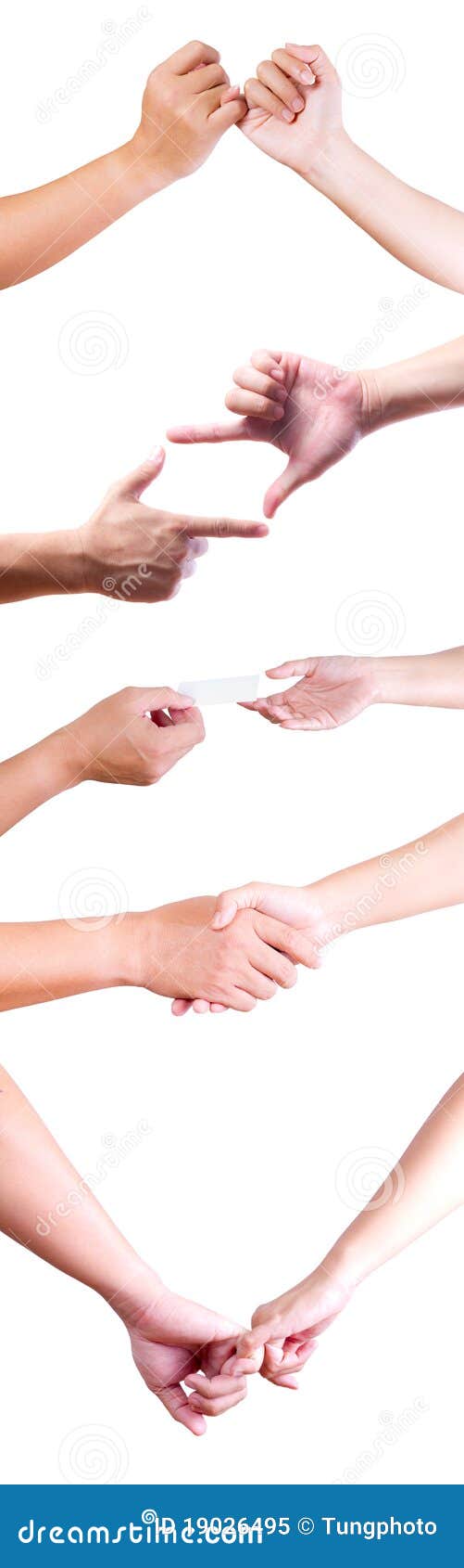 Hands symbol stock image. Image of holding, background - 19026495