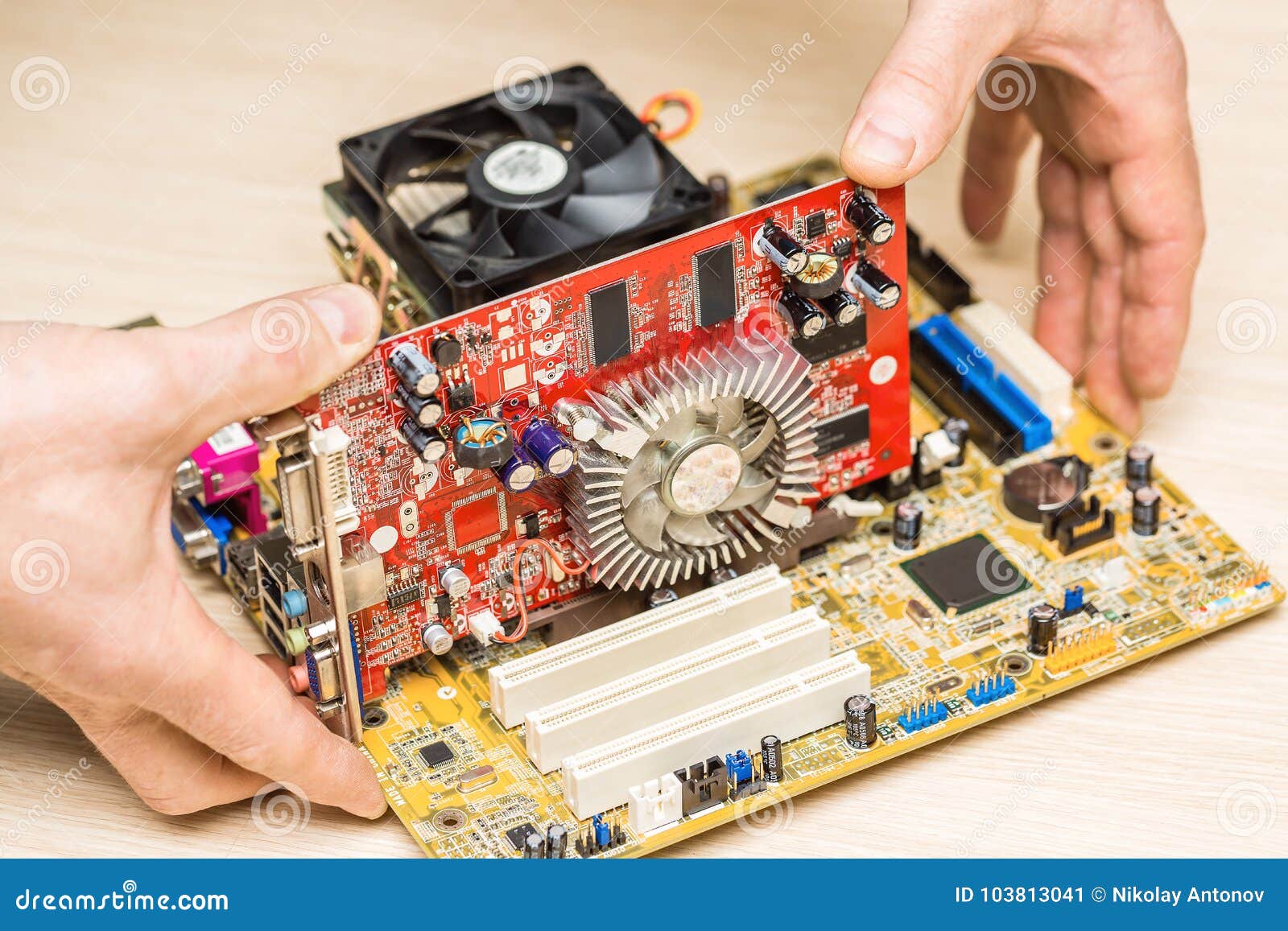 Hands of Technician Installing a Graphics Adapter Card on the Computer ...