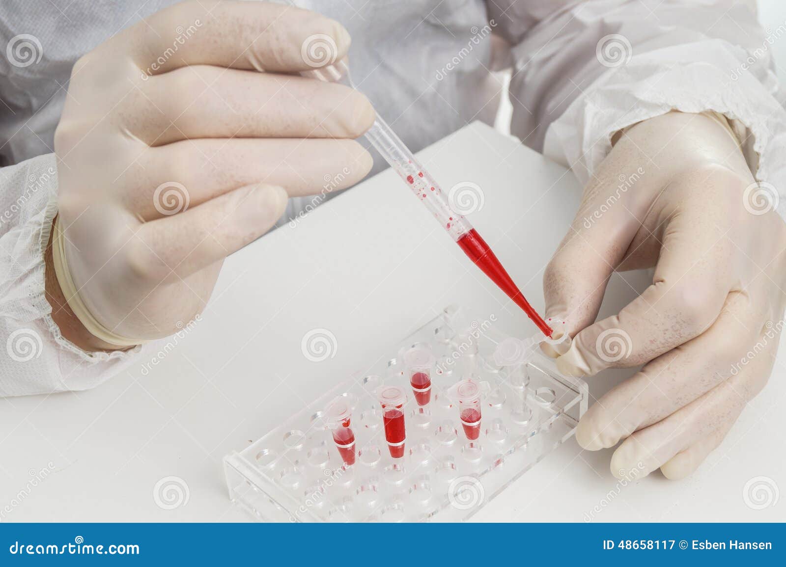 Hands testing labsample stock image. Image of indicates - 48658117