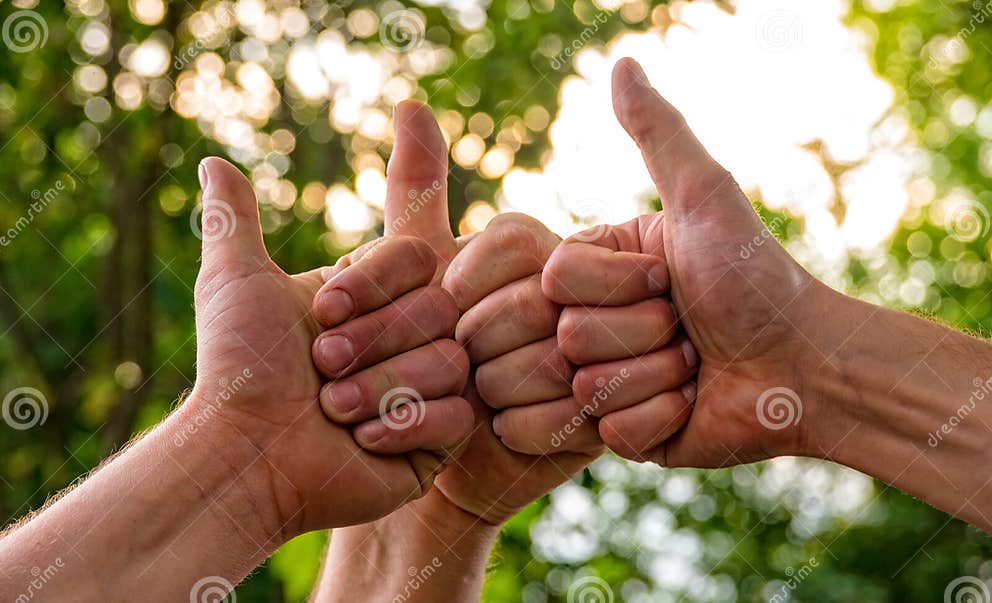 Hands with the Thumb Face-up Stock Image - Image of performance, happy ...
