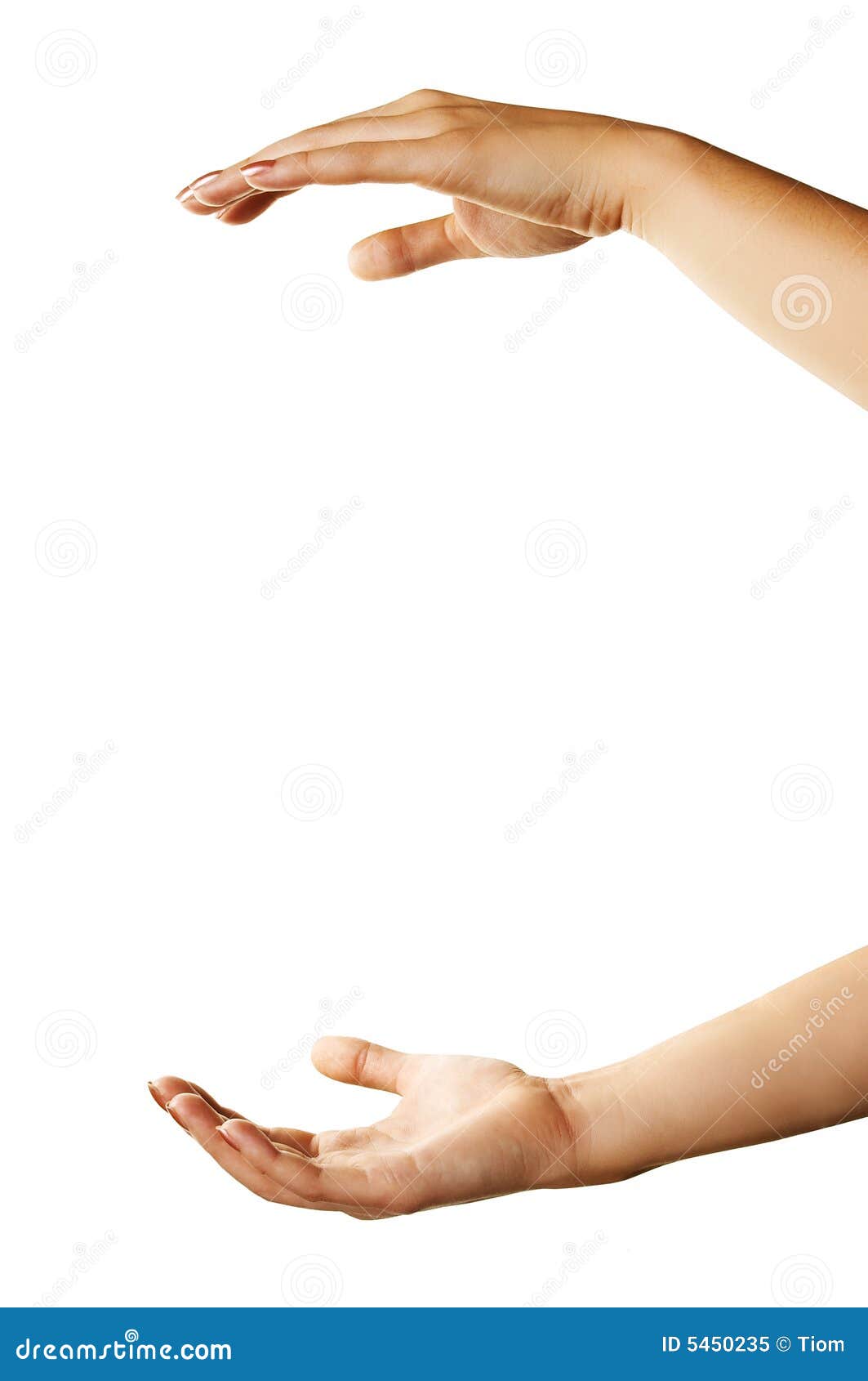 Hands to hold something stock image. Image of palm, holding - 5450235