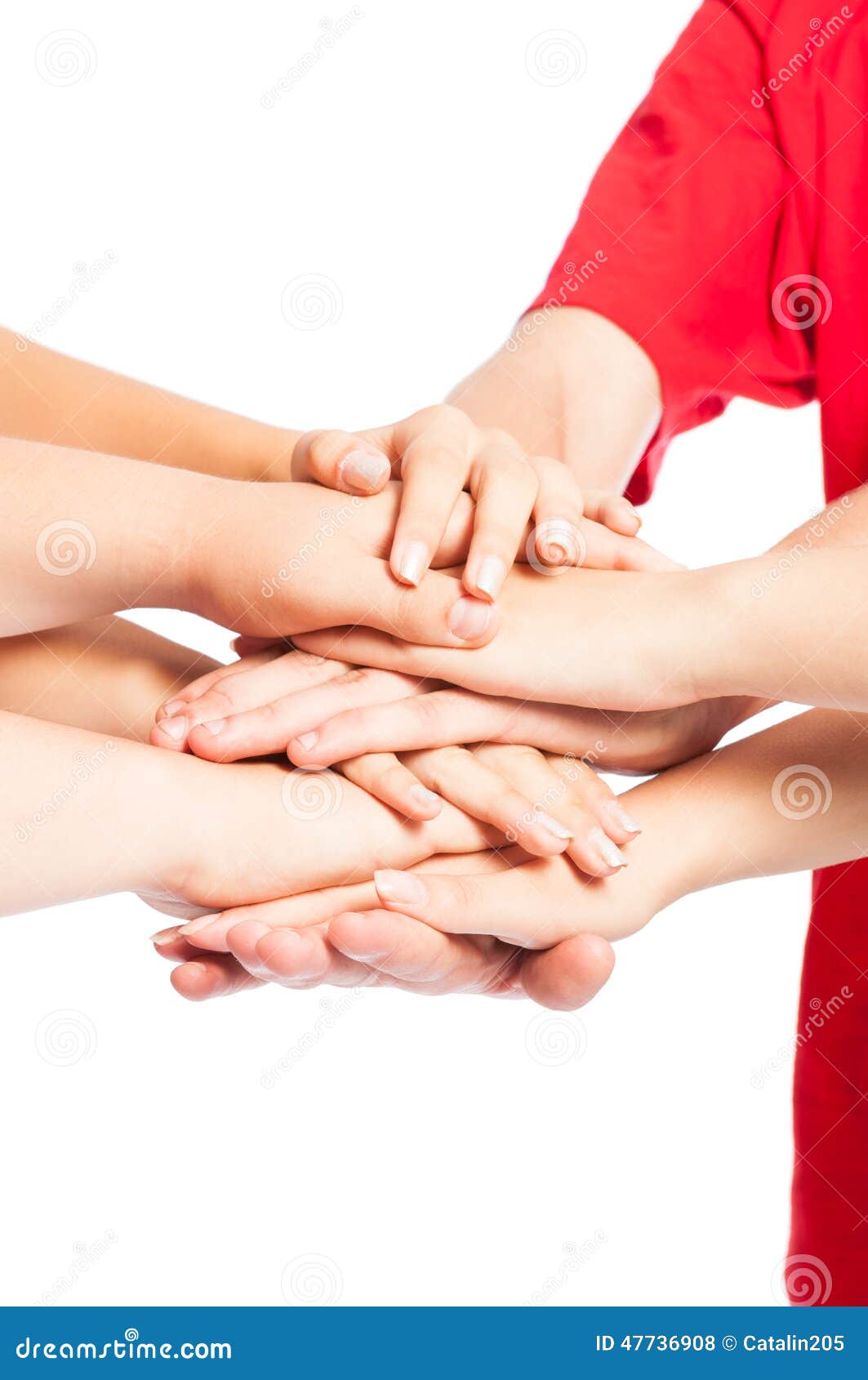 Hands together stock photo. Image of teamwork, team, white - 47736908