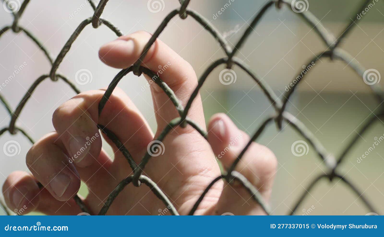 Hands Touching Each Other through the Metal Mesh of the Fence Stock ...