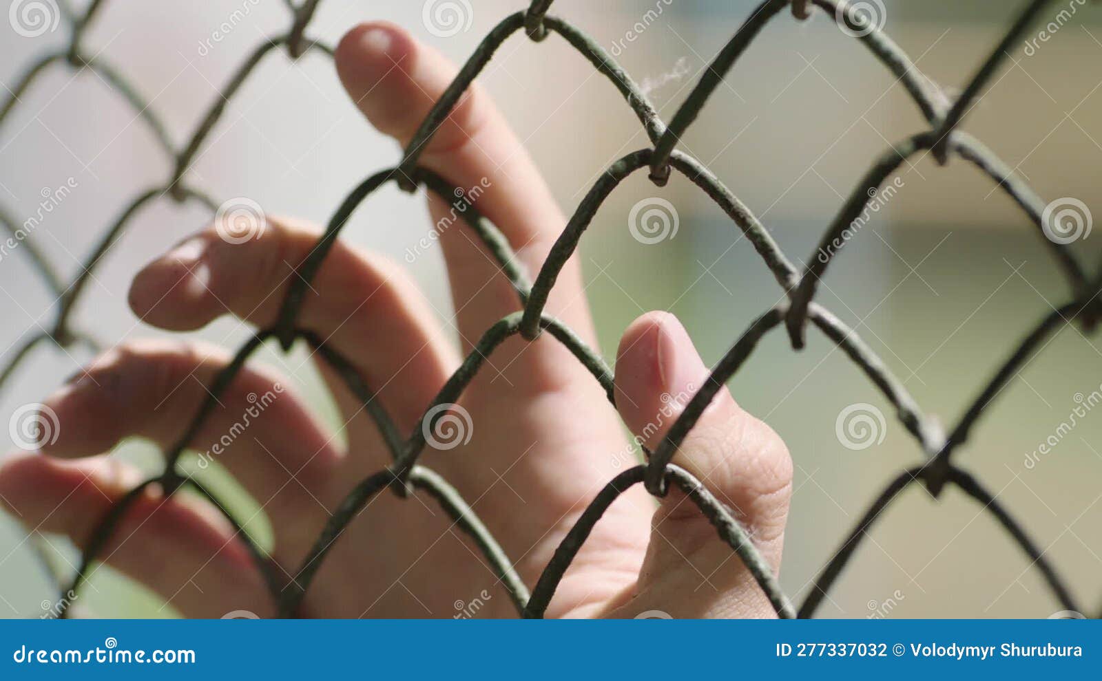Hands Touching Each Other through the Metal Mesh of the Fence Stock ...
