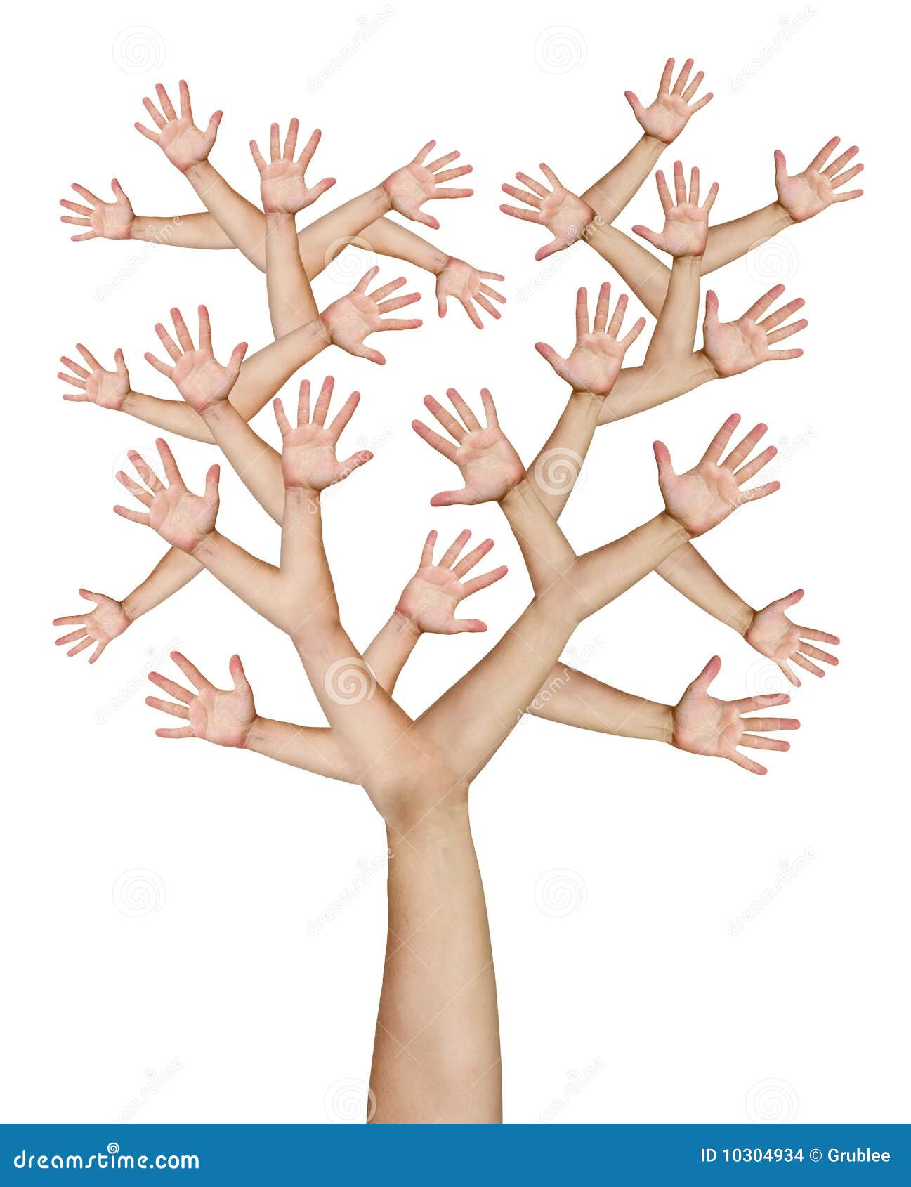 Isolated Diversity Tree Hands Isolated Diversity Tree - vrogue.co Isolated Diversity Tree Hands Isolated Diversity Tree - vrogue.co