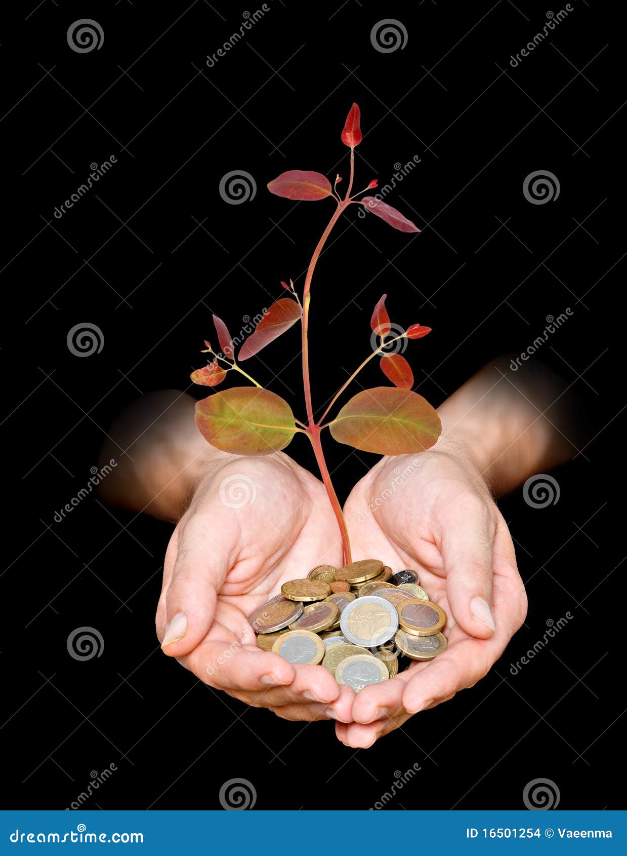 Hands with a tree stock photo. Image of close, palm, nature - 16501254