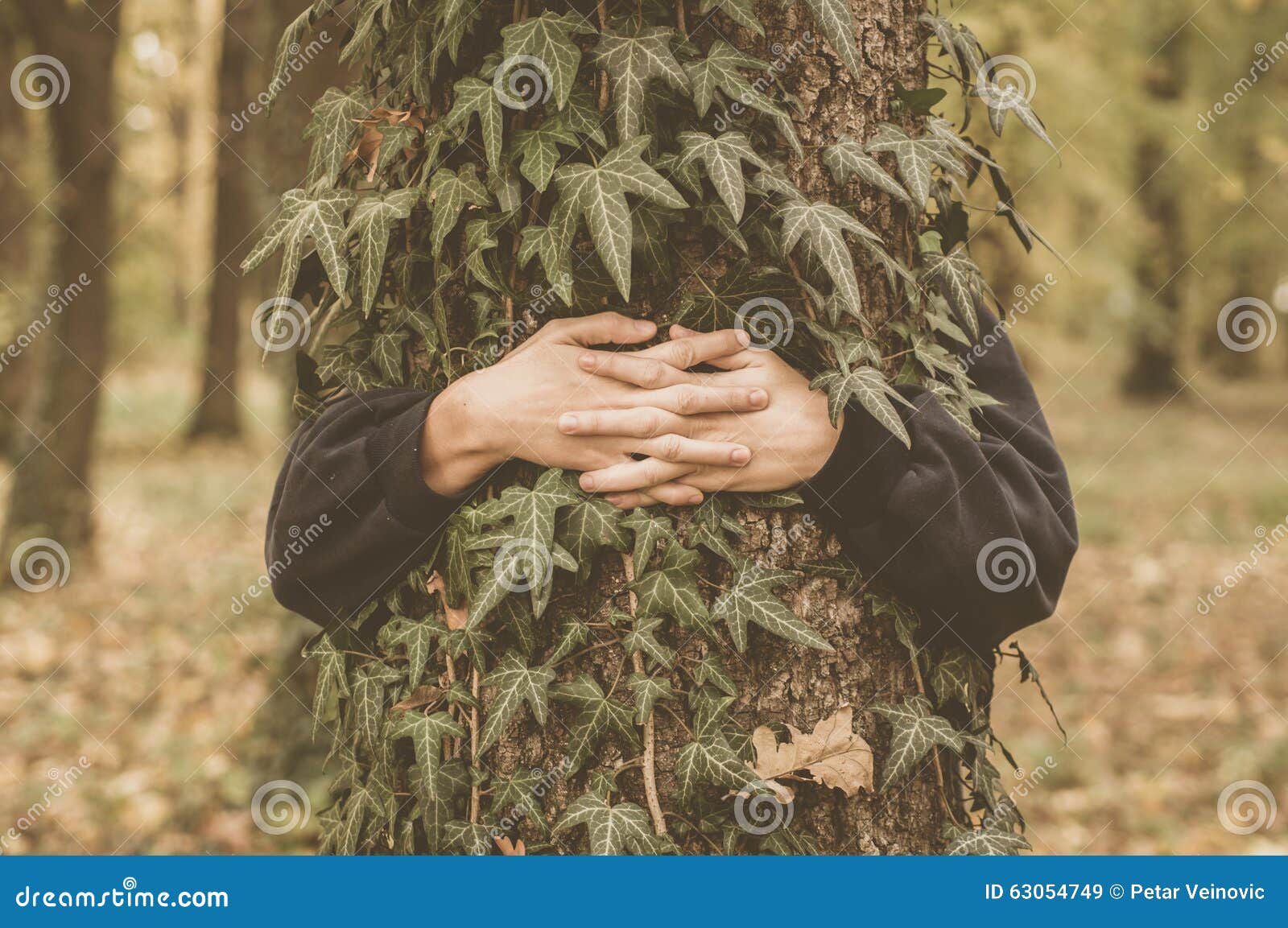 Hands and Tree in the Forest Stock Image - Image of girl, park: 63054749