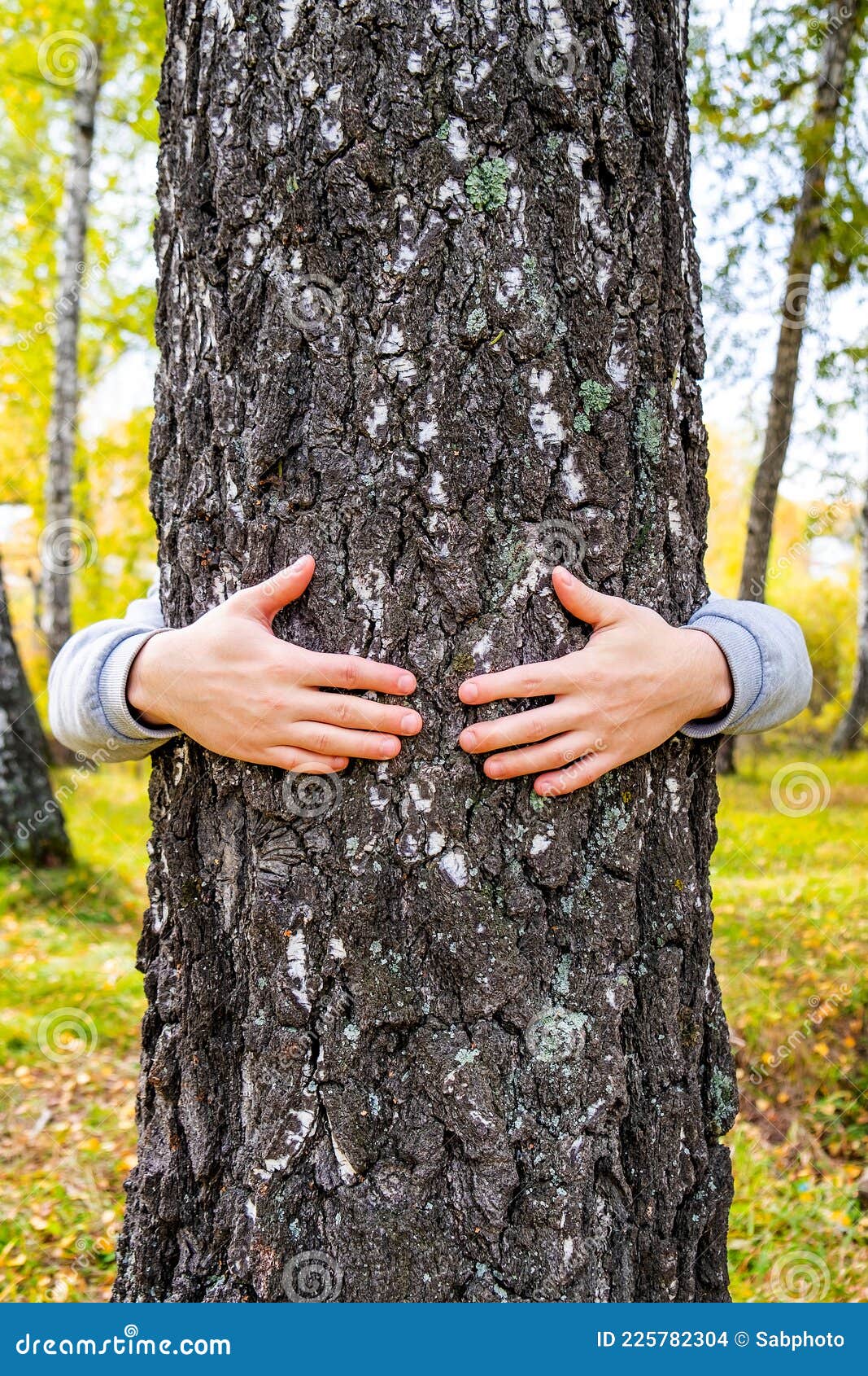 Hands on the Tree stock photo. Image of hands, ecology - 225782304