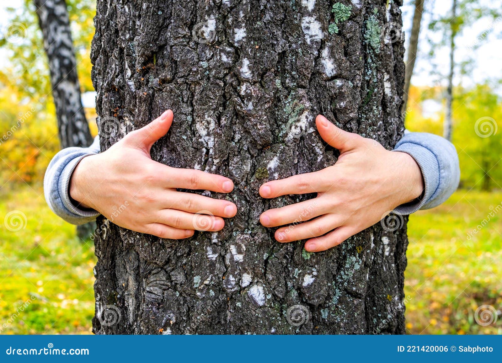 Hands on the Tree stock photo. Image of limb, hands - 221420006