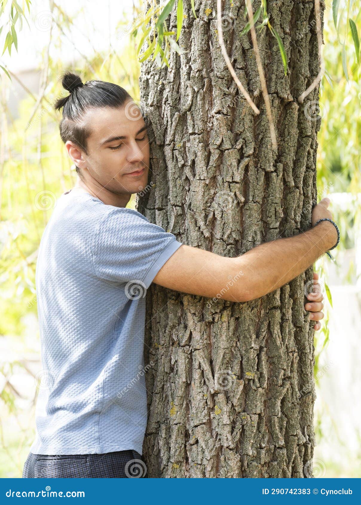Hands and tree stock image. Image of hand, truk, caucasian - 290742383