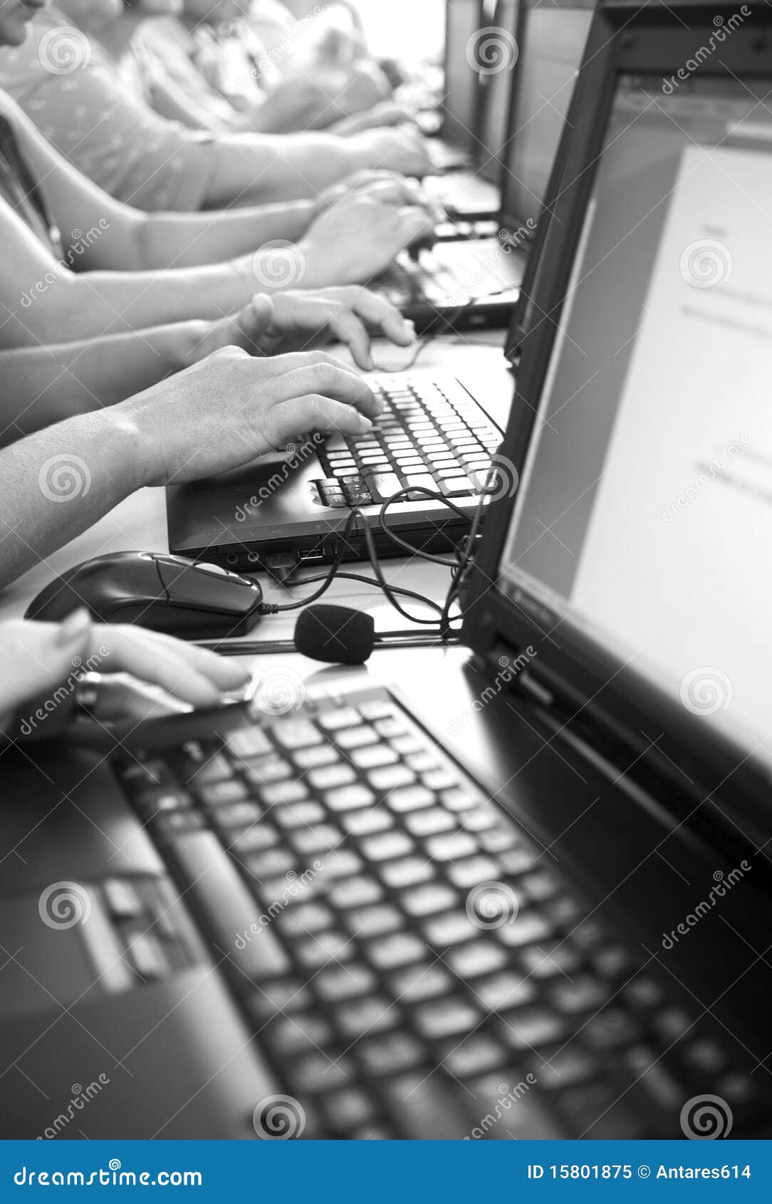 Hands typing stock image. Image of businesspeople, hands - 15801875