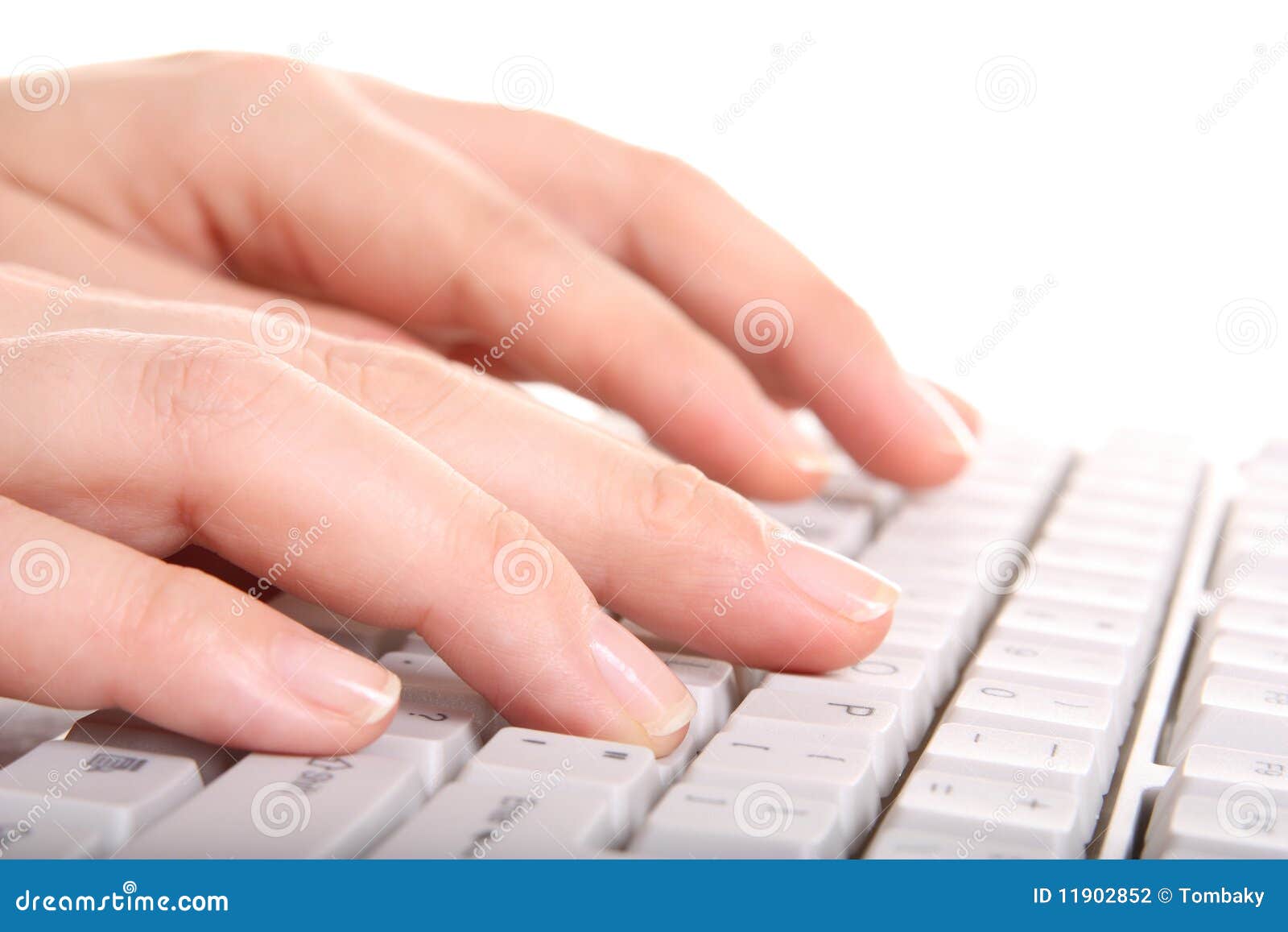 Hands Typing on the Keyboard Stock Photo - Image of white, laptop: 11902852