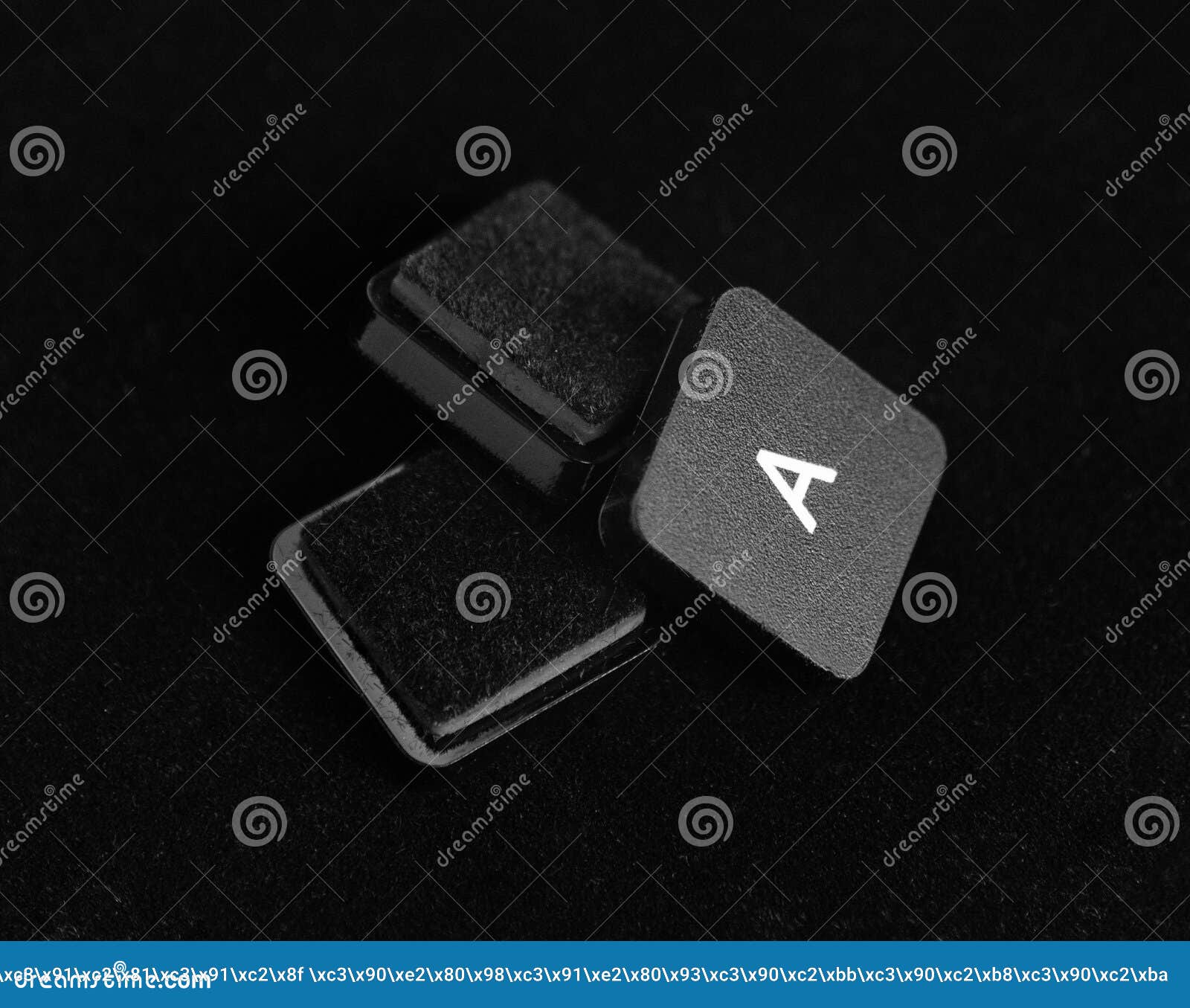 Hands typing on a keyboard stock image. Image of press - 240142607