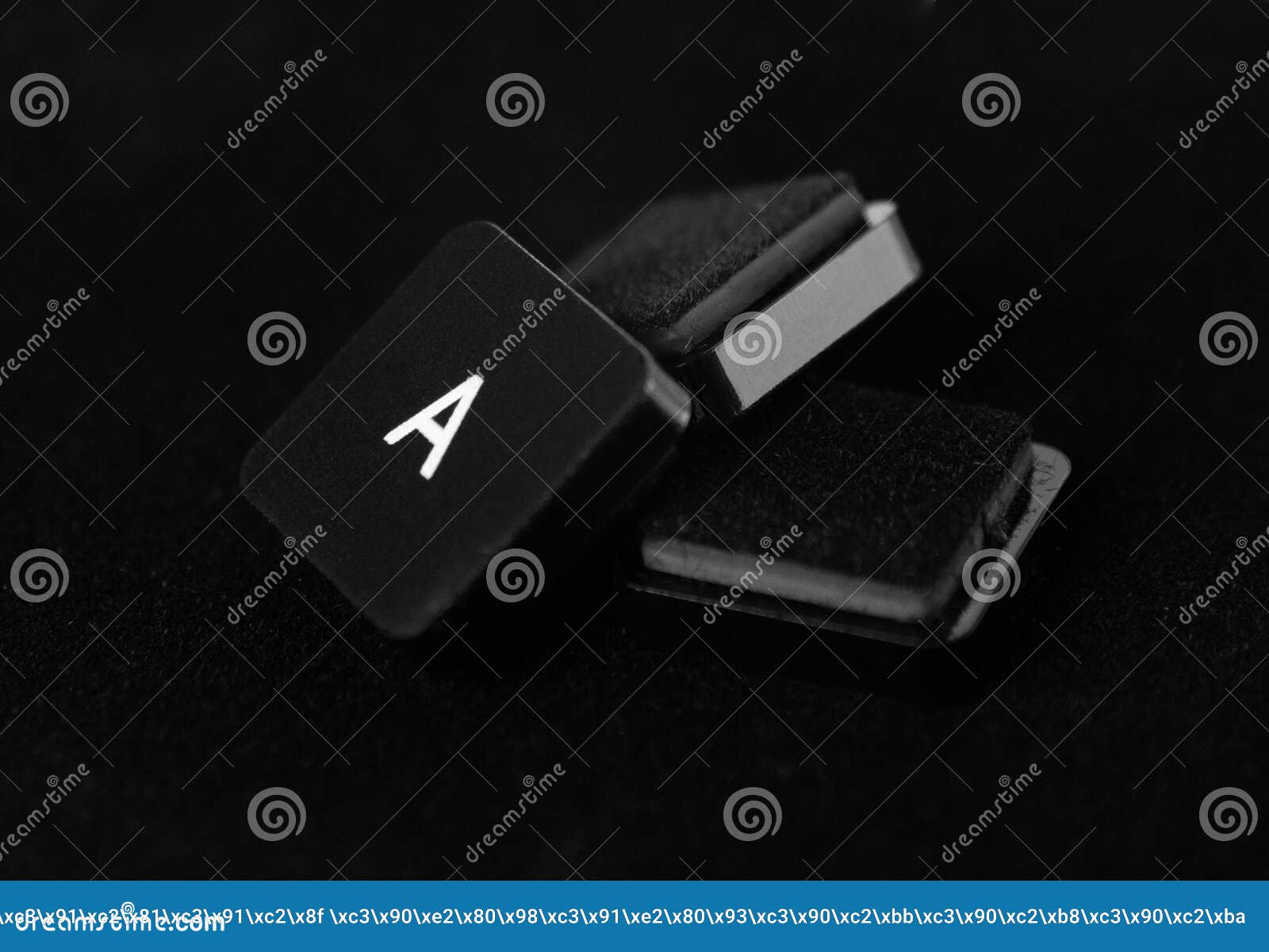 Hands typing on a keyboard stock photo. Image of touch - 240142608