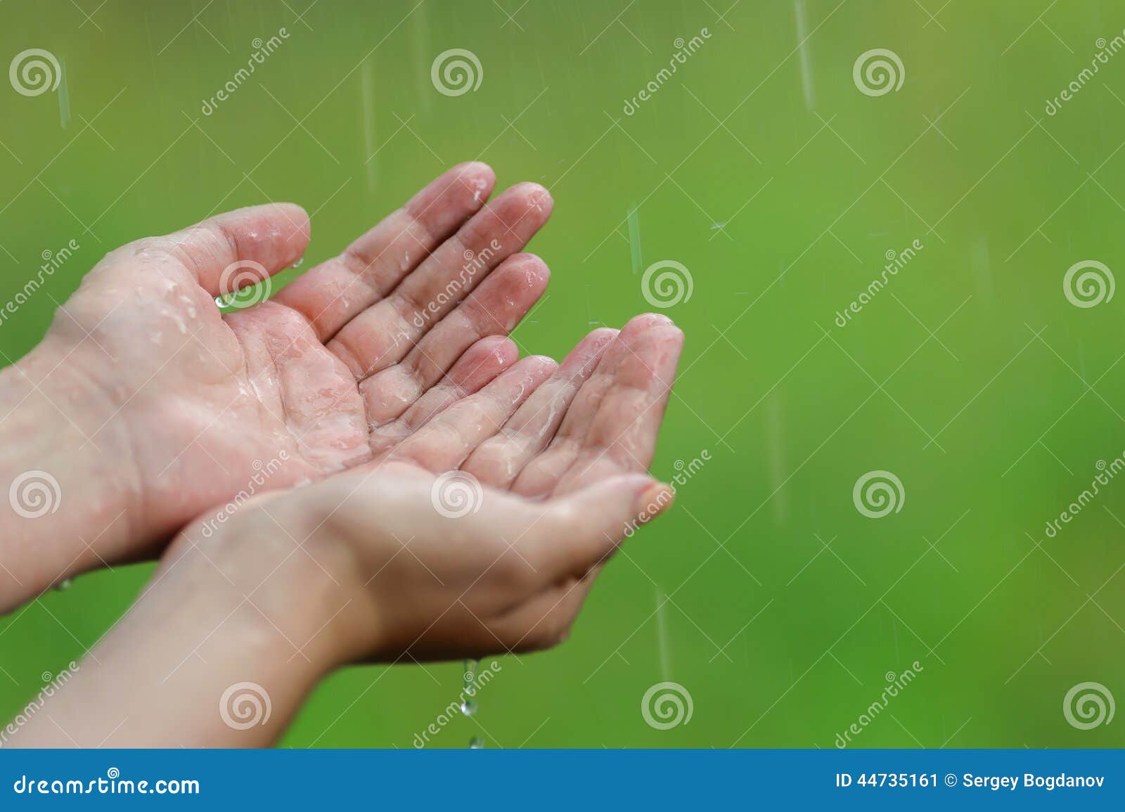 Hands under a rain stock image. Image of precipitation - 44735161