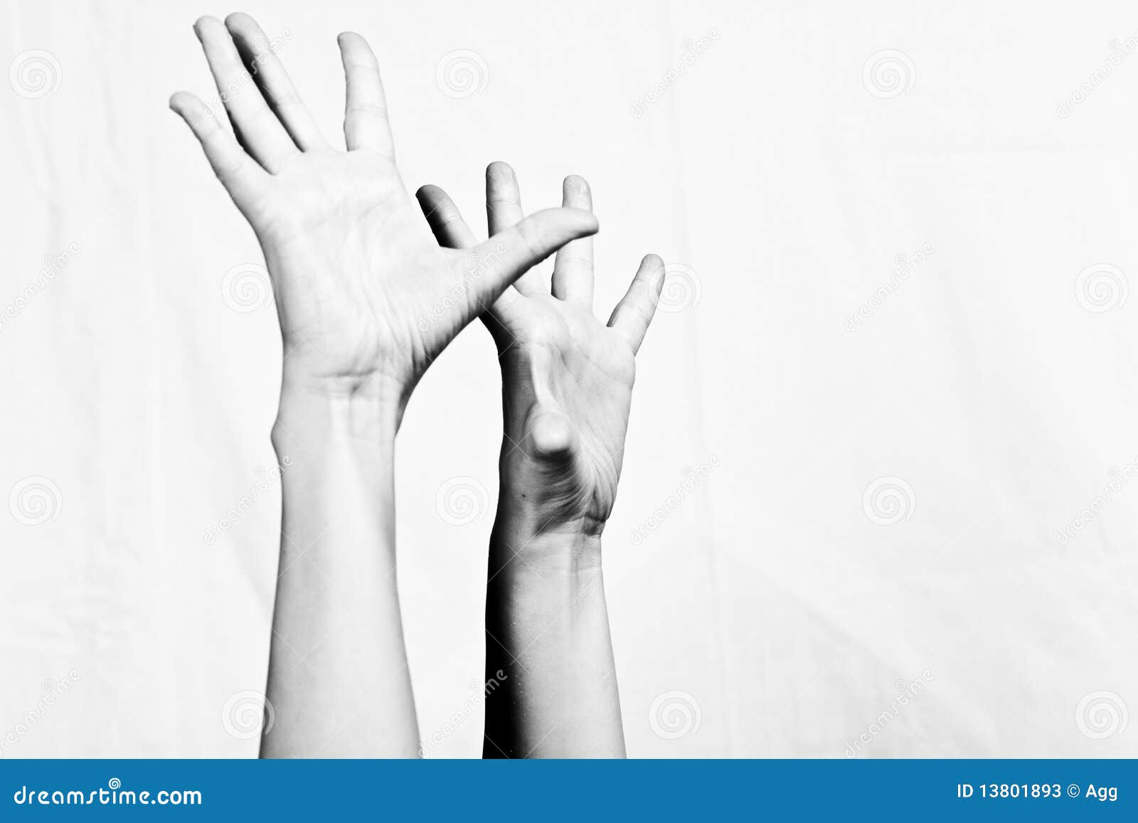 Hands up! stock image. Image of hold, expression, fingers - 13801893