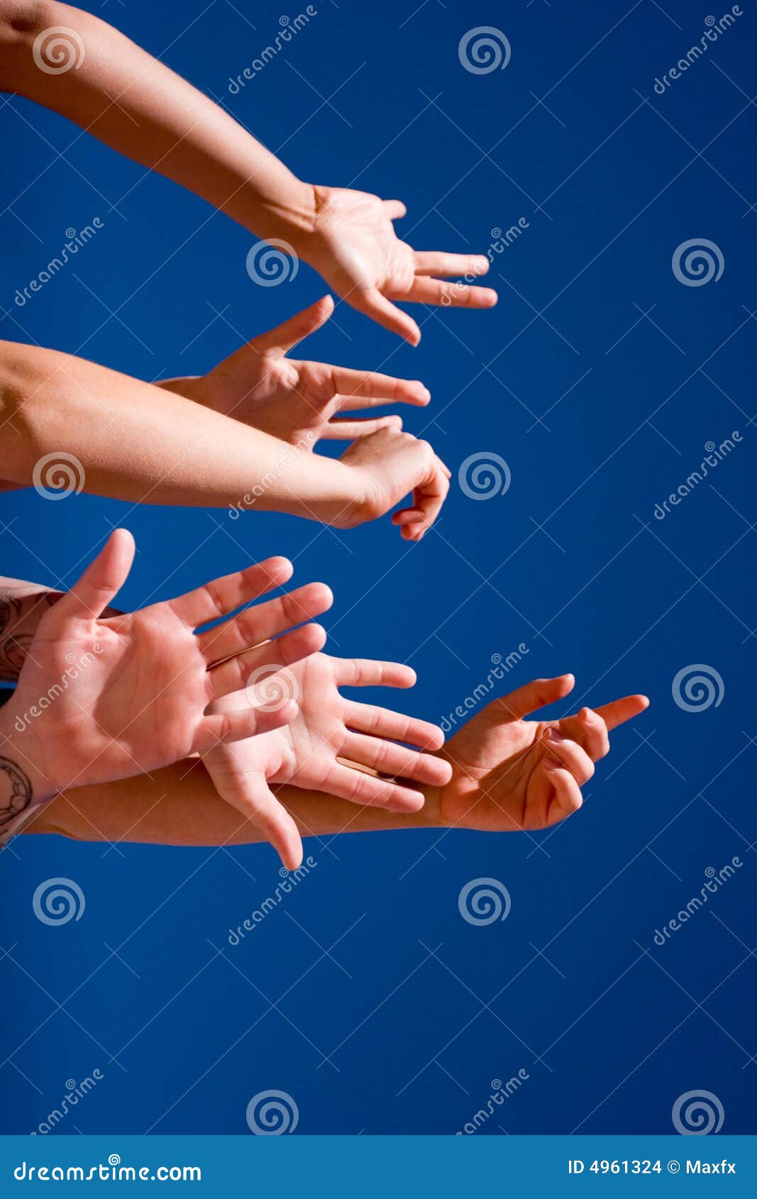 Hands up in the air stock photo. Image of success, holding - 4961324