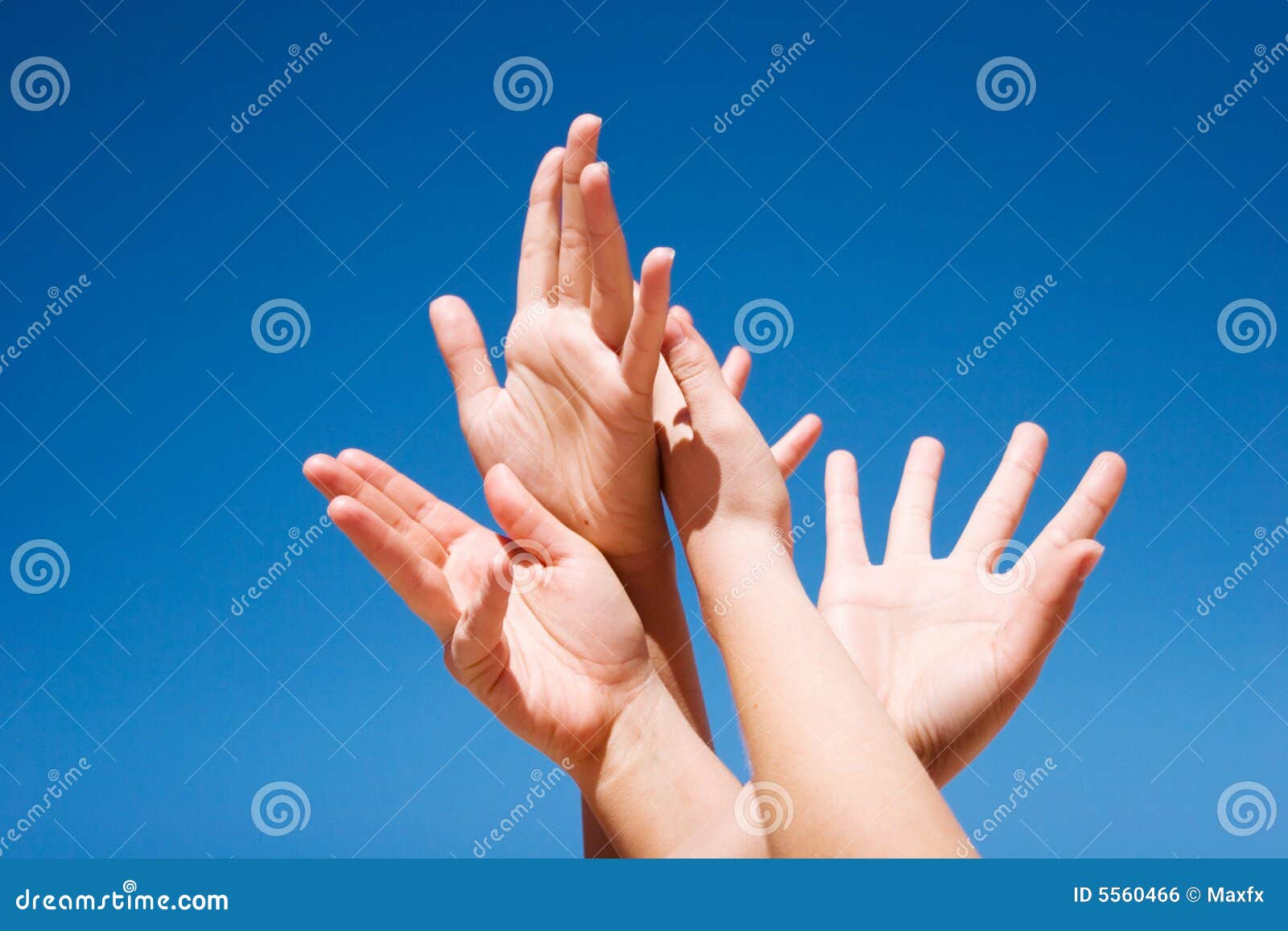 Hands up in the air stock photo. Image of power, celebrate - 5560466