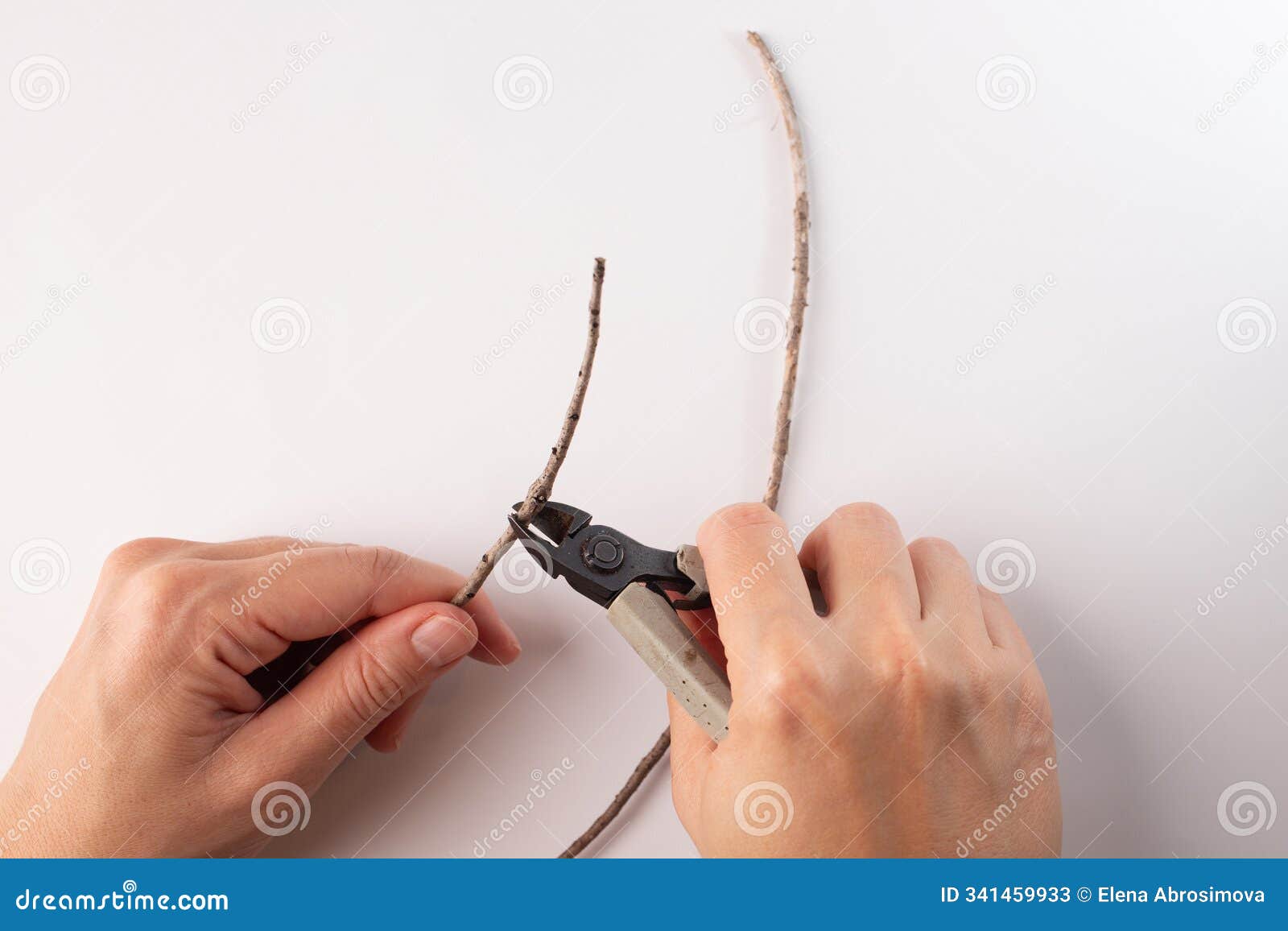 Hands Using Cutters To Snip Brown Twig, White Background, DIY, Tutorial ...