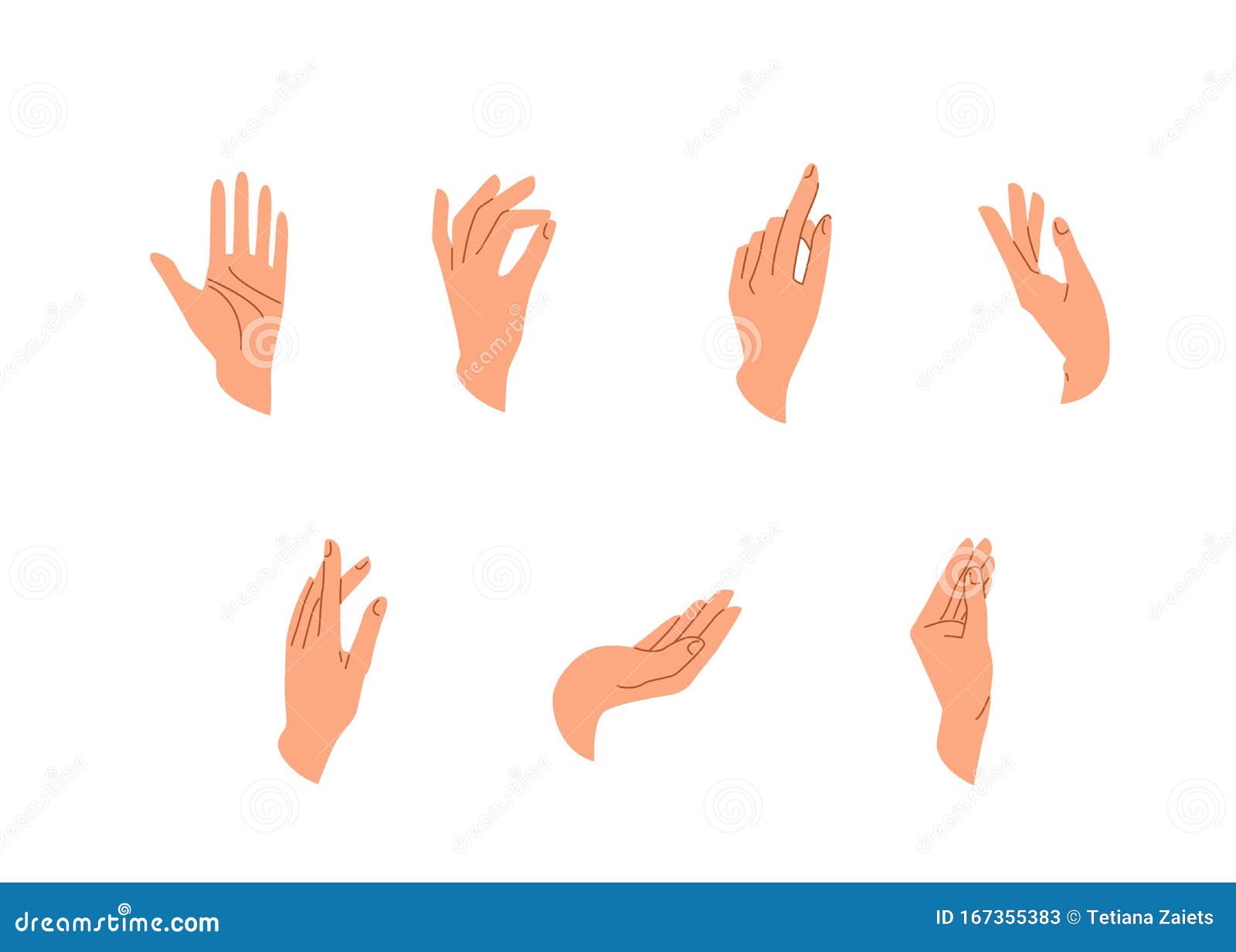 Hands Vector Set in Simple Flat Trendy Style Isolated on a White ...