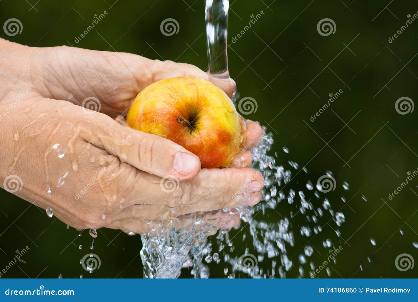 Hands Washing an Apple on Green Background Stock Photo - Image of ...
