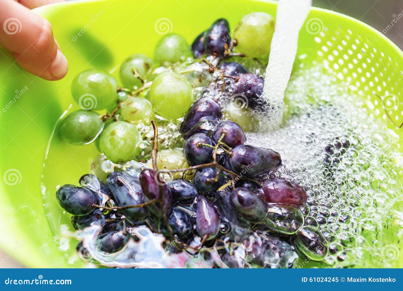 Hands Washing a Fresh Grapes Stock Image - Image of ripe, grapes: 61024245