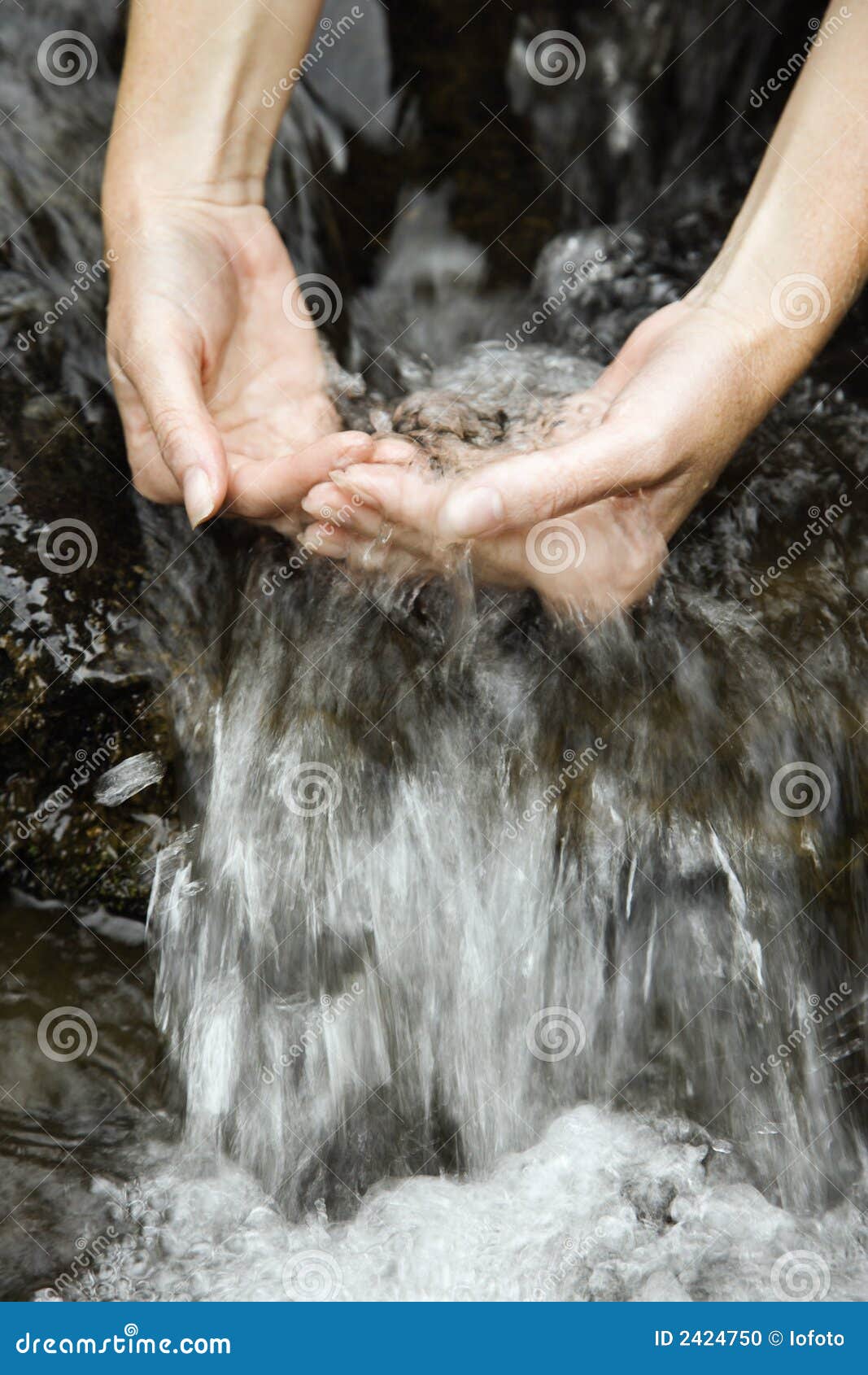 Hands in water. stock photo. Image of attractive, adult - 2424750