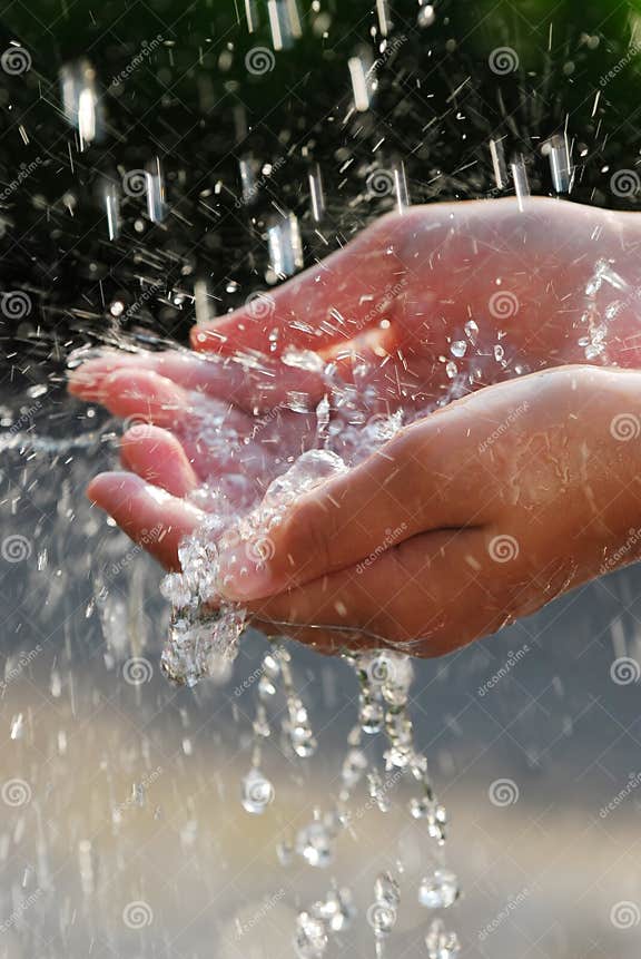Hands and water stock photo. Image of concept, nature - 2881576
