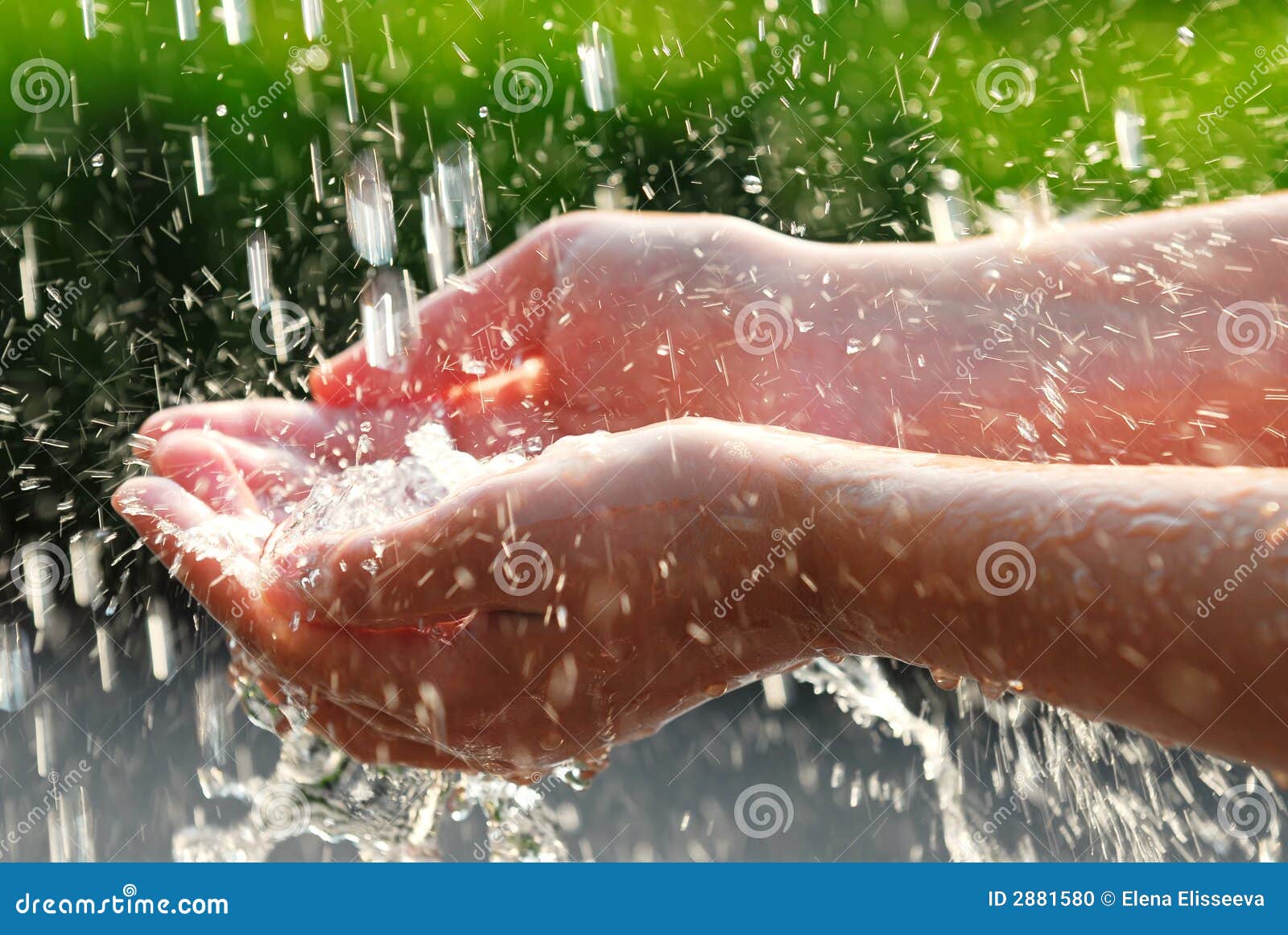 Hands and water stock photo. Image of palms, clean, play - 2881580